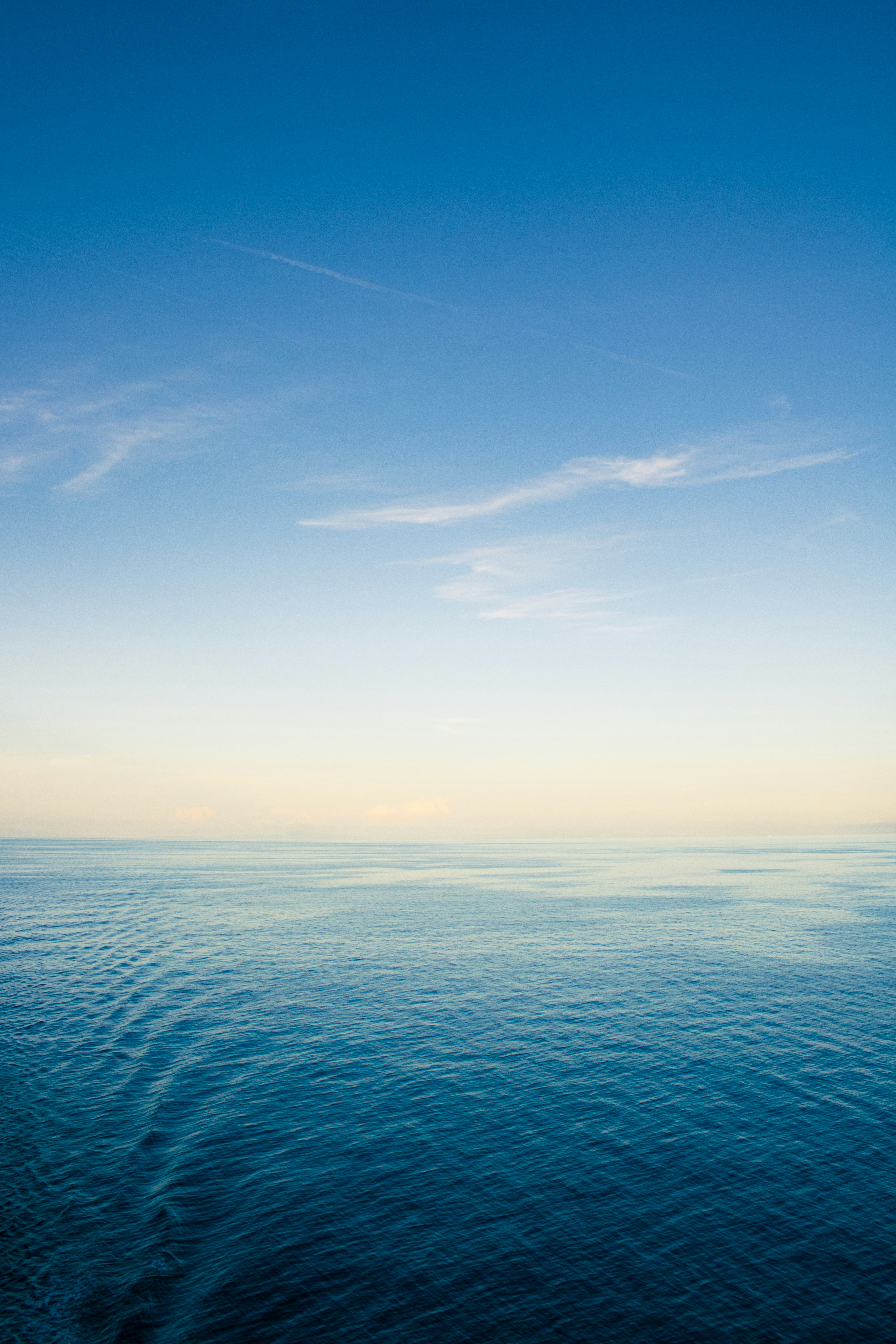 Photo by Matt Bct with Canon EOS 2000D