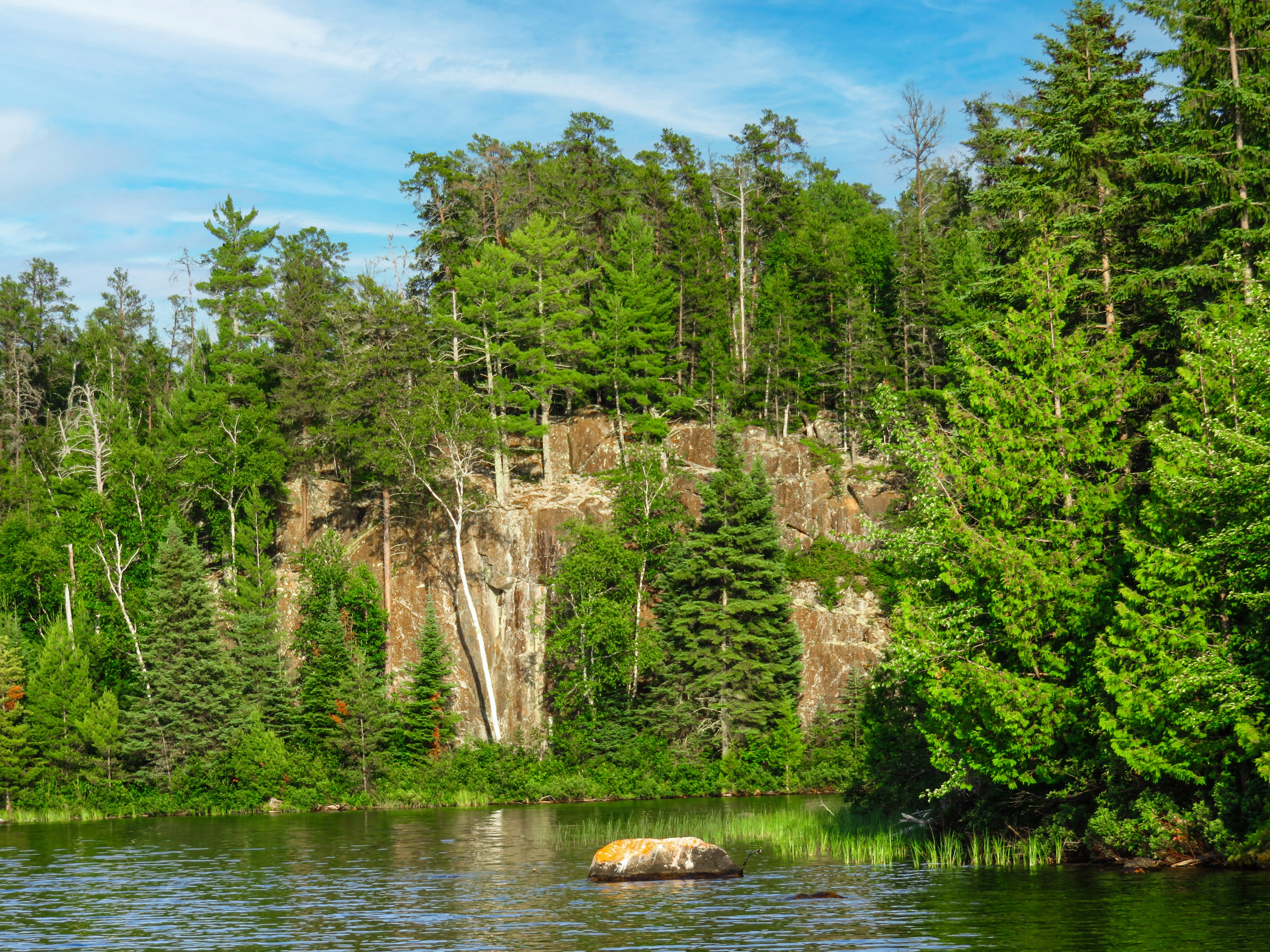 Lush green forest with a rocky cliff rising behind a calm lake under a bright blue sky.