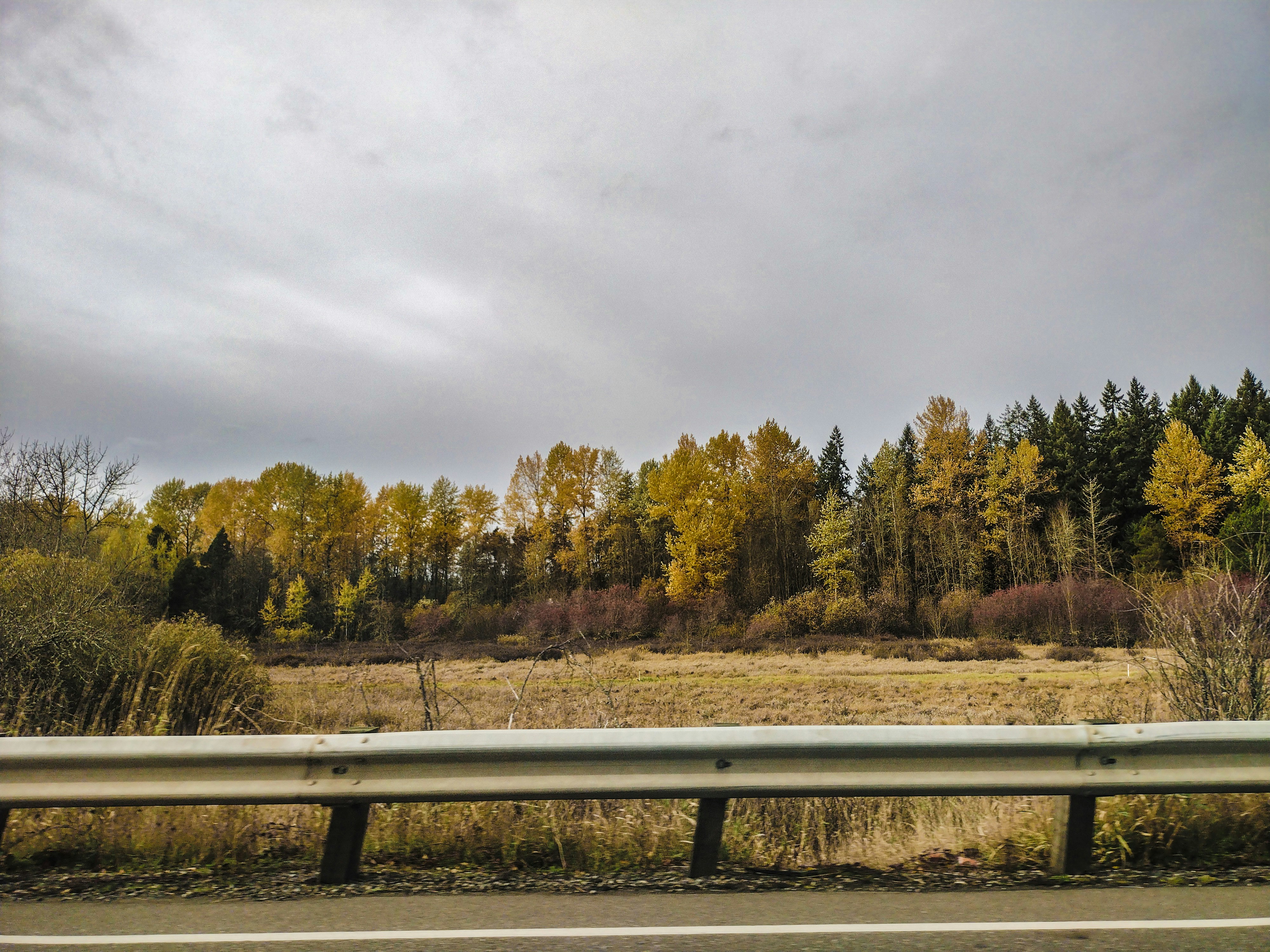 a view of a field with trees in the background