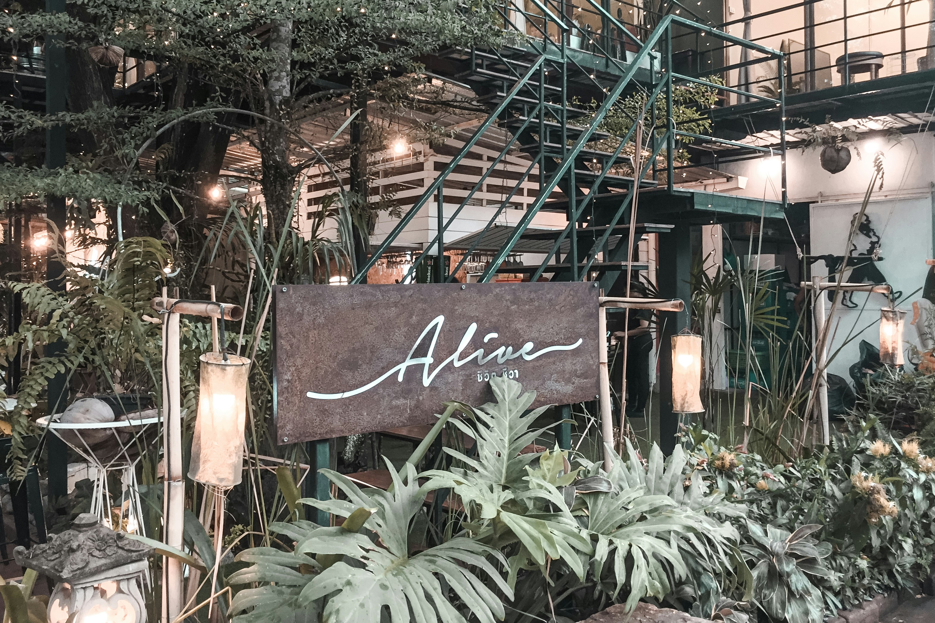 Urban Jungle Retreat