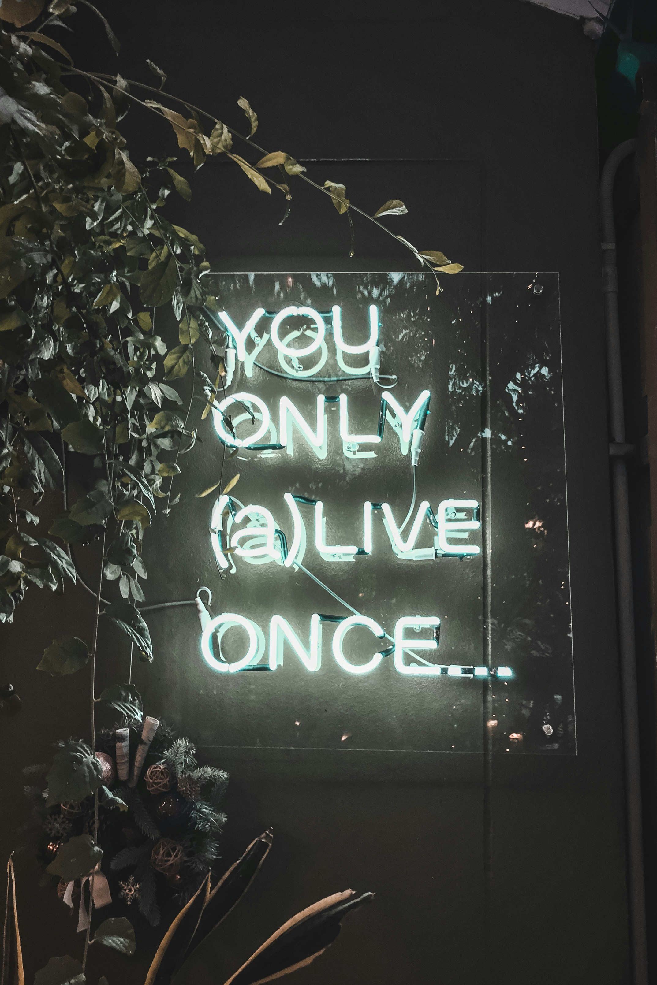 A neon sign that says you only alive once photo – Free Hat yai district ...