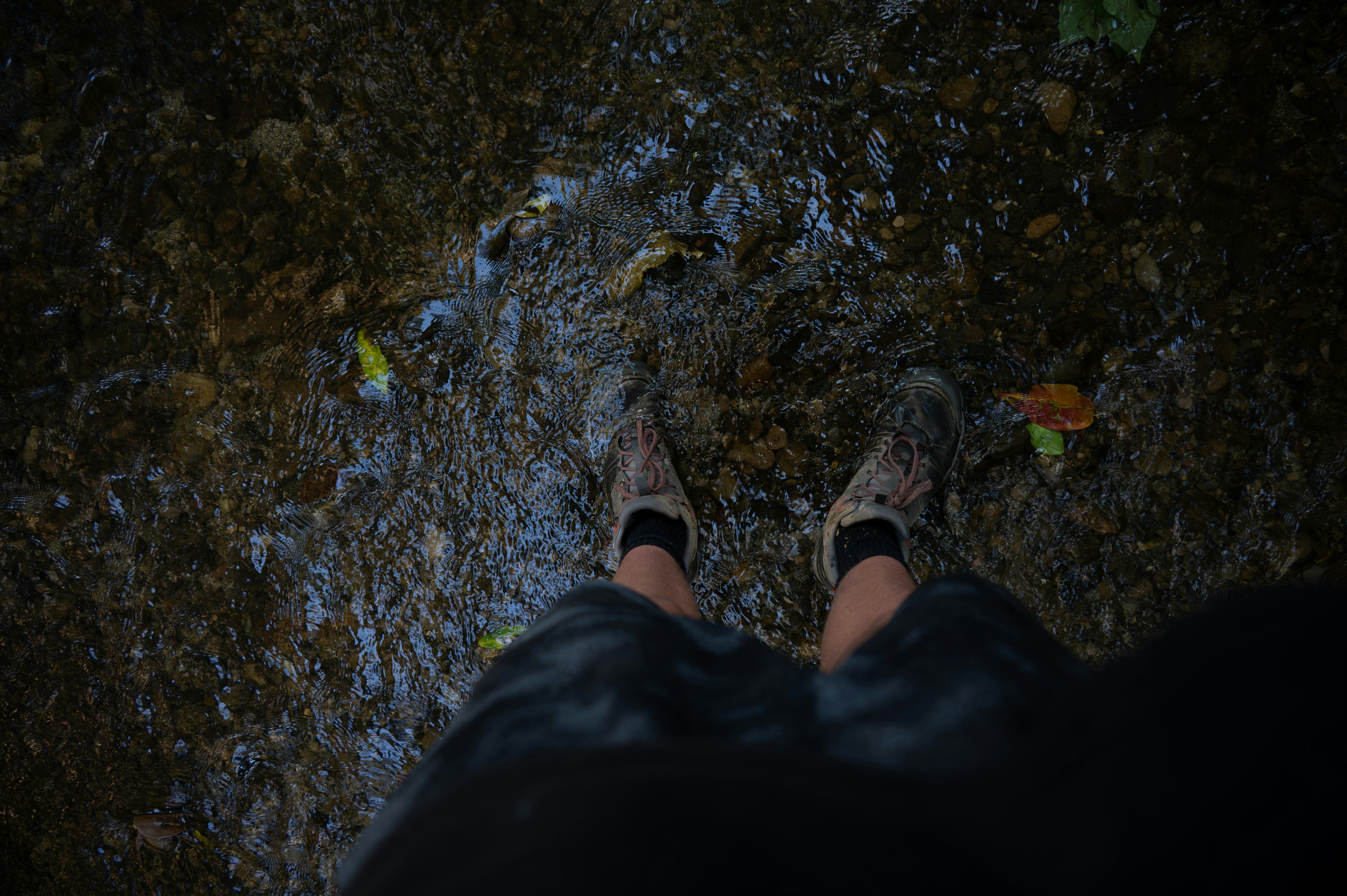 A person standing in a puddle of water photo – Free Oratia Image on ...