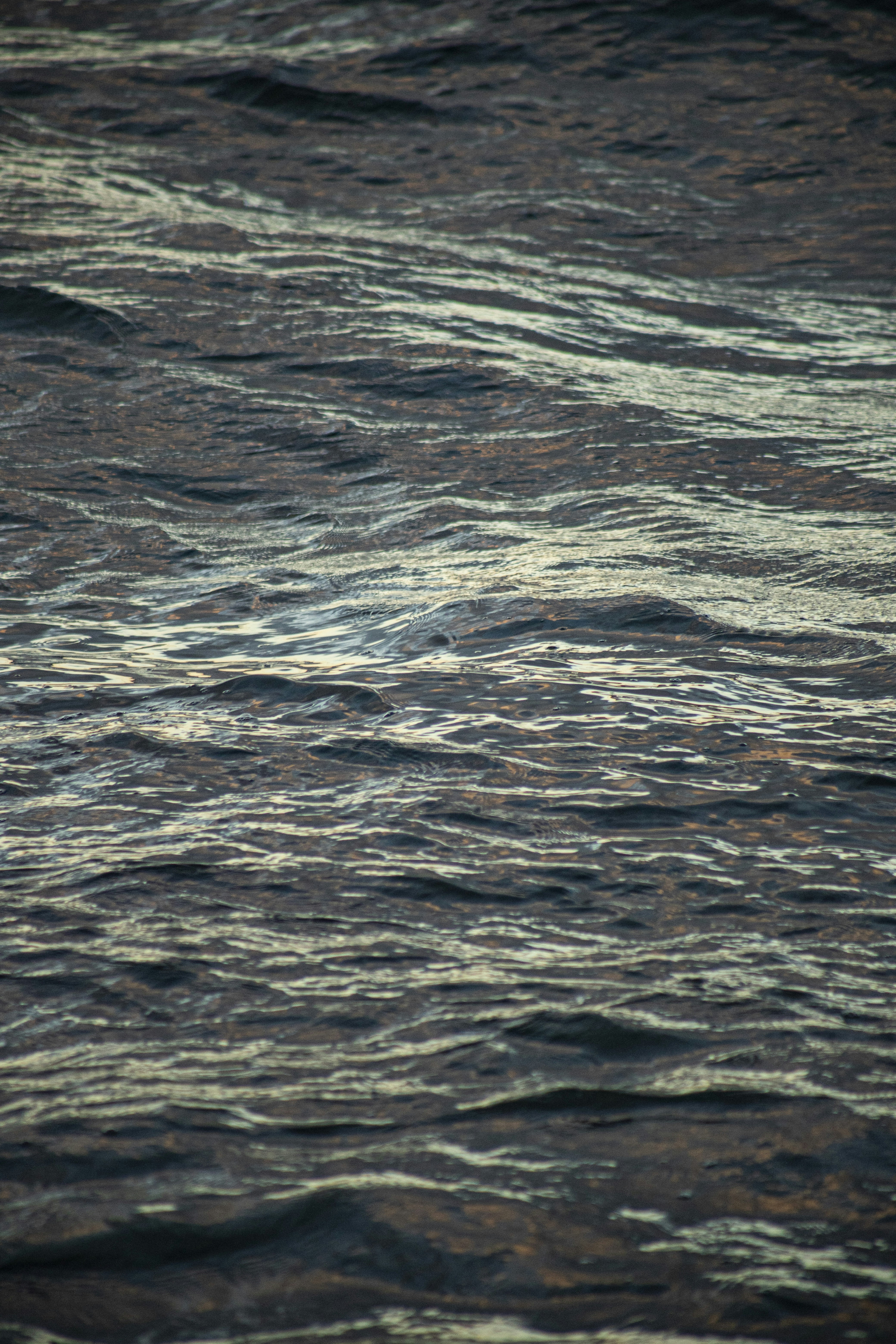 Dusk-Caught Ripples: Copper Light on a Quiet Sea