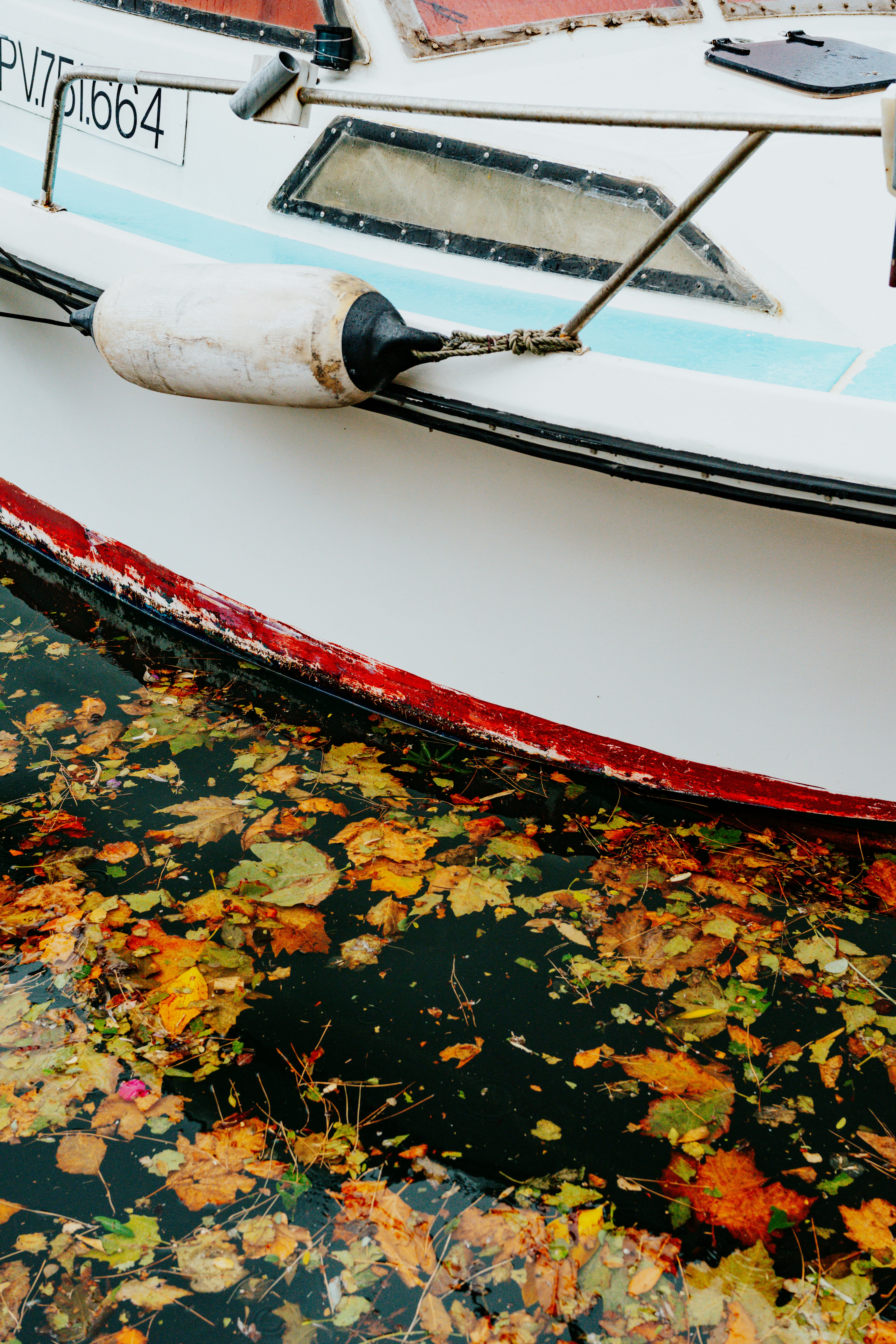 A boat with leaves floating in a body of water photo – Free Boat Image ...