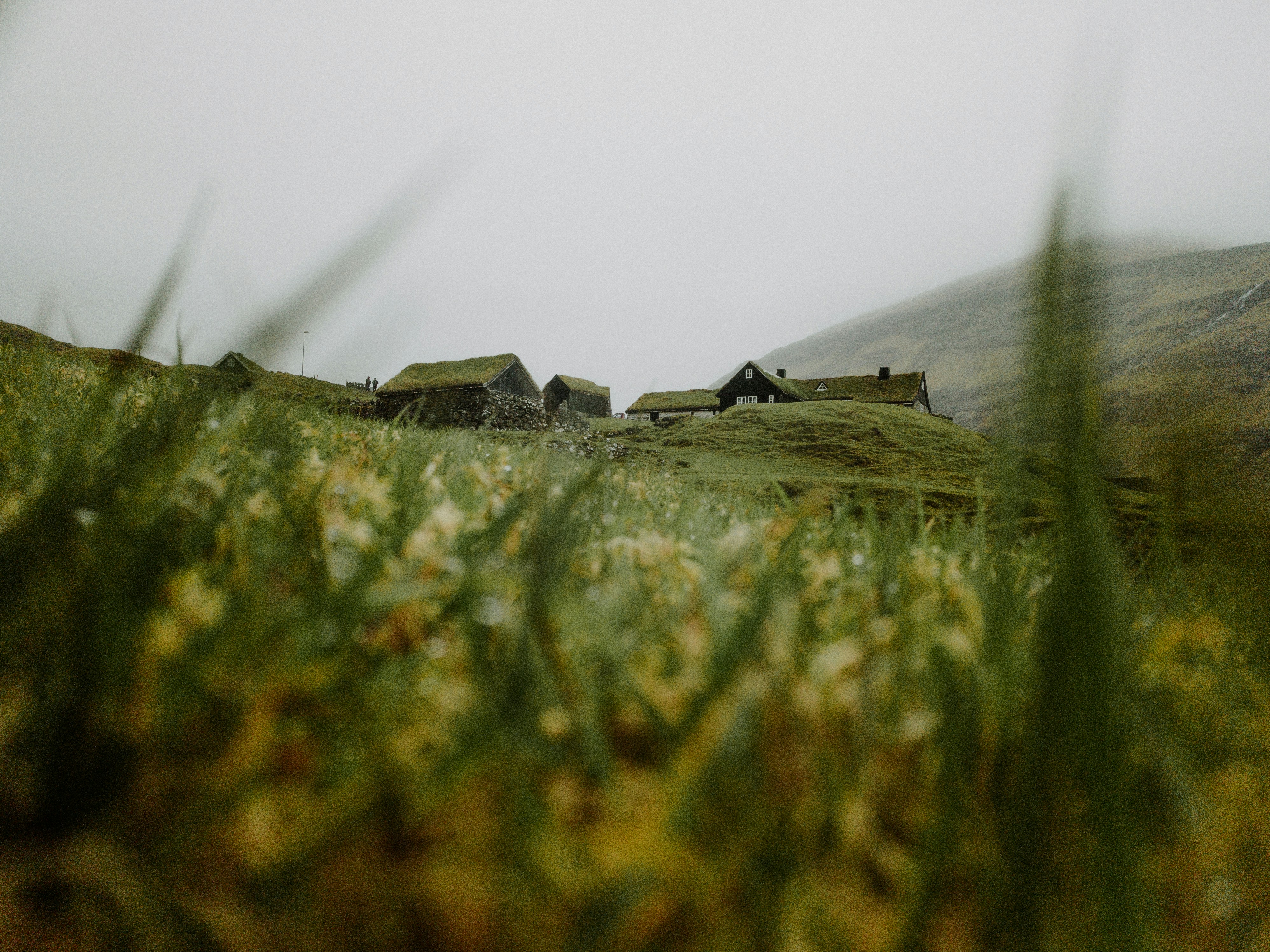 Mist-veiled Highlands: Stone Cottages on a Quiet Slope