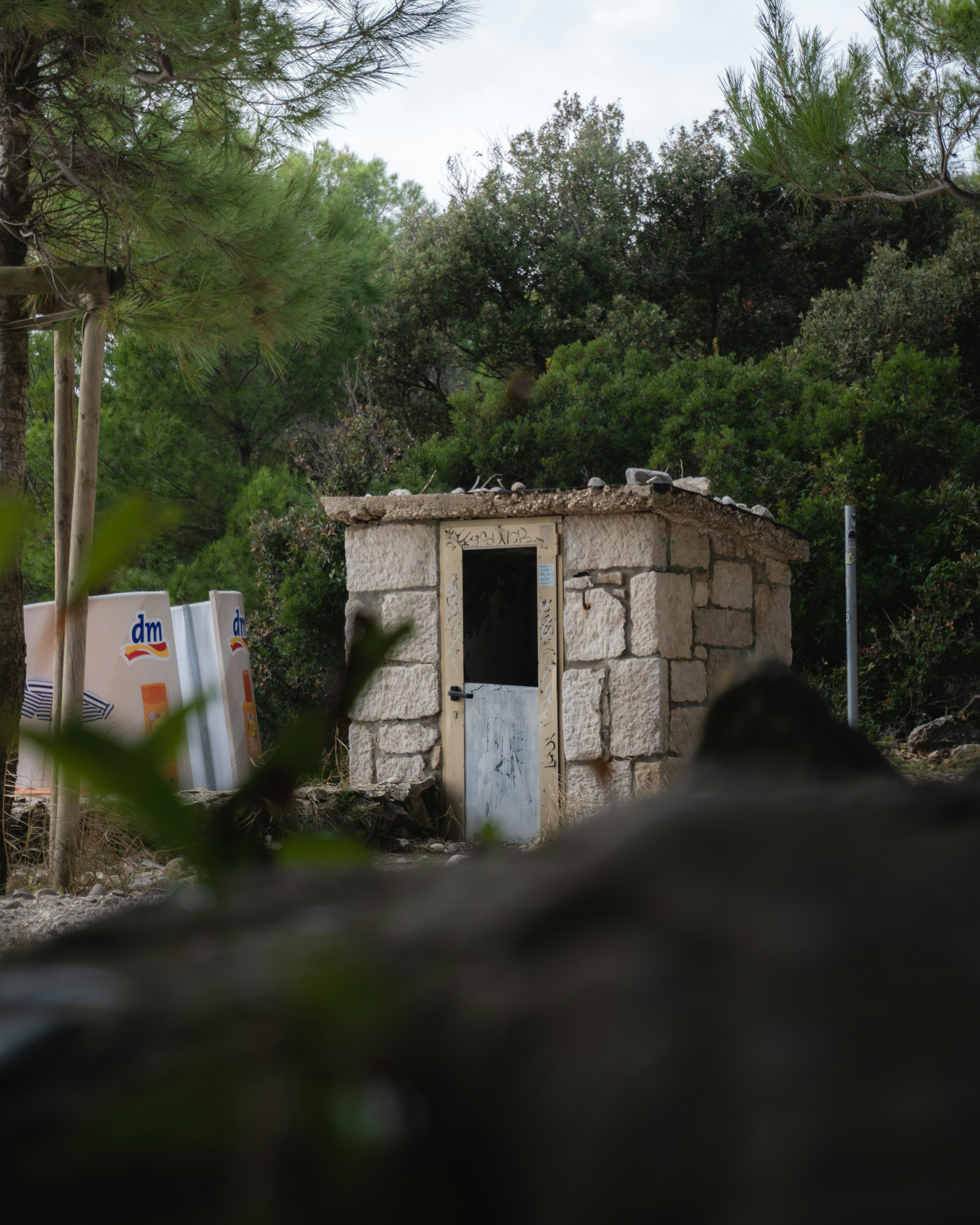The Silent Stone Shed in a Pine-Shadowed Clearing