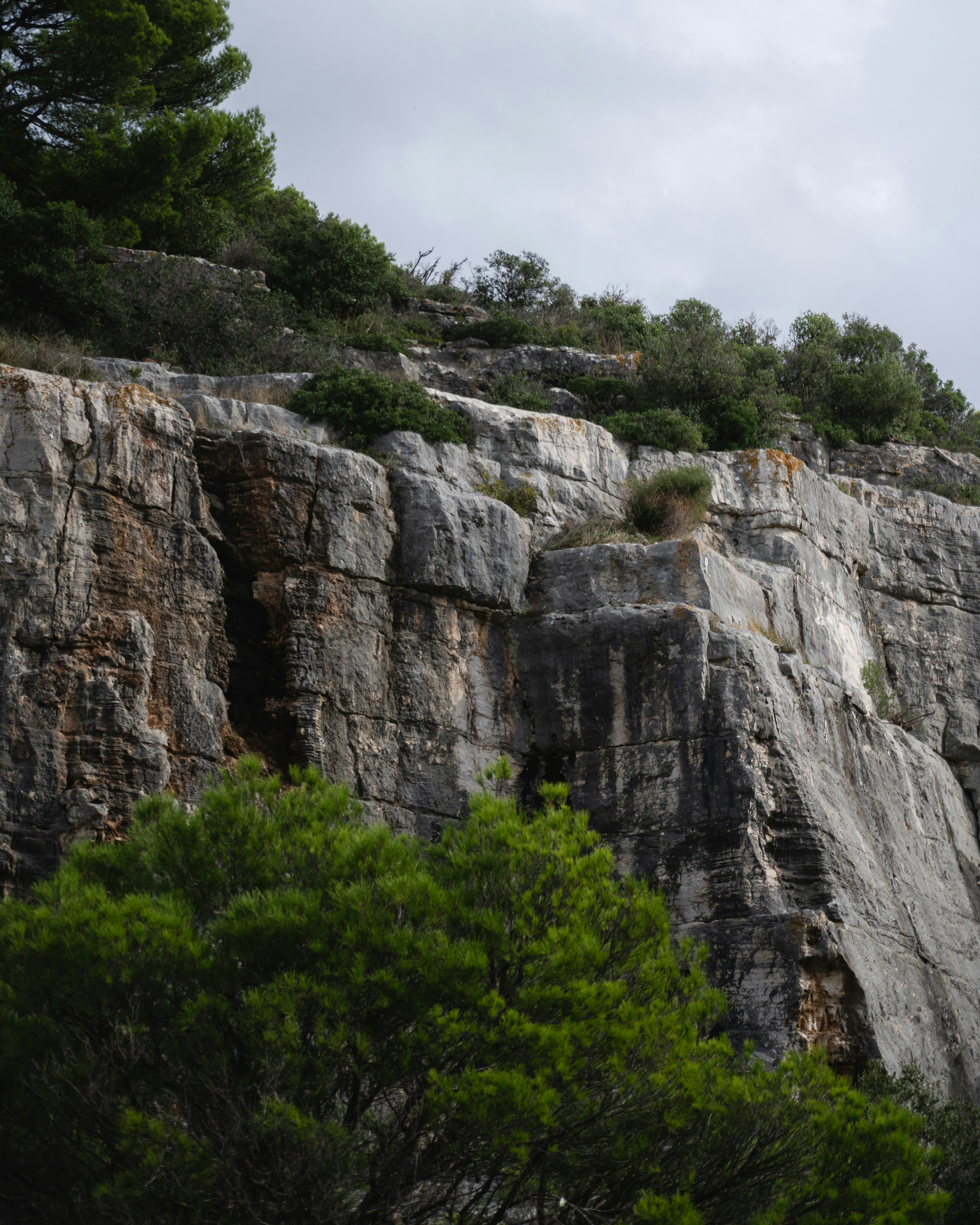 Photo by Dominik Puskas with SONY ZV-E10