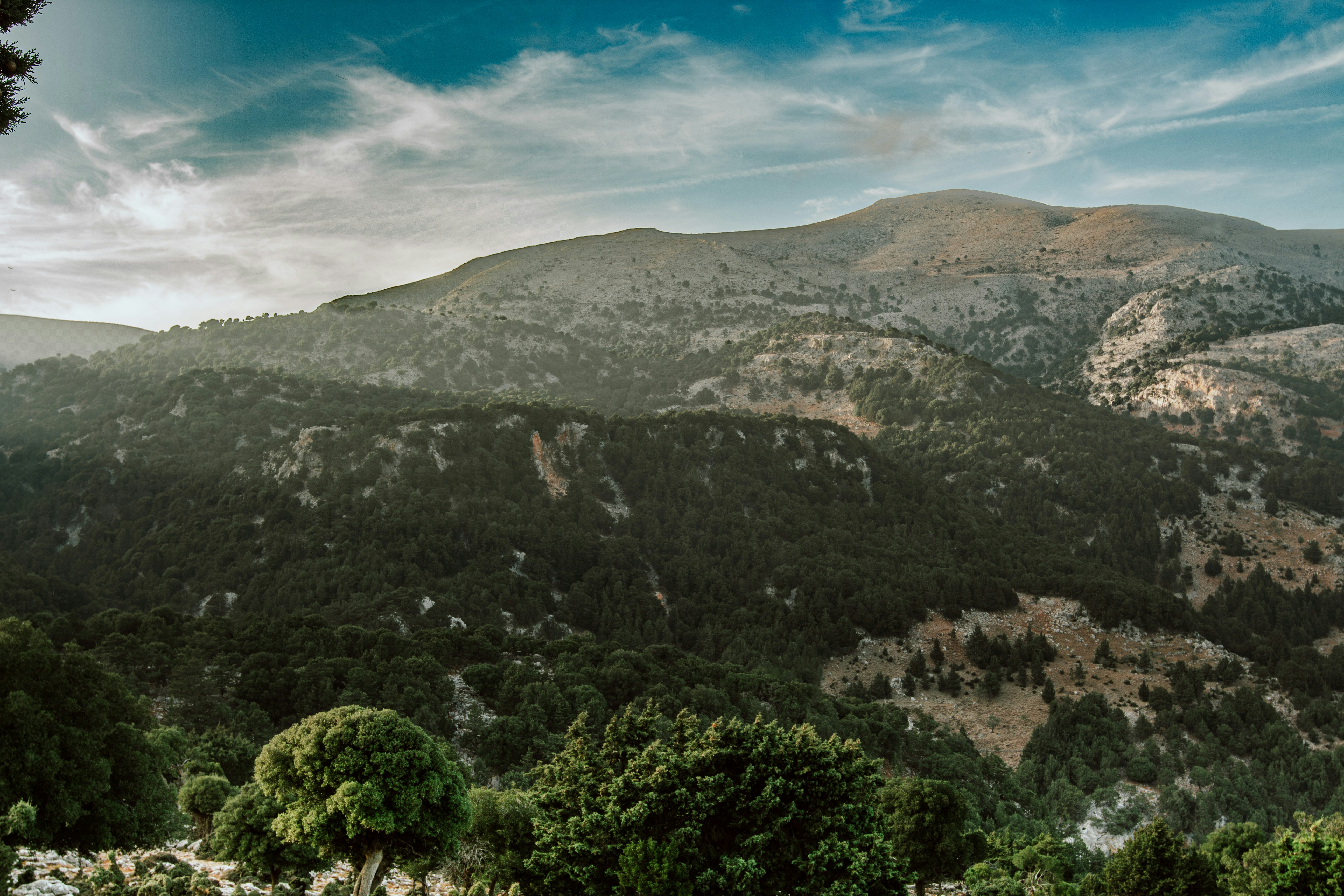 A view of a mountain range from a distance photo – Free Forest Image on ...