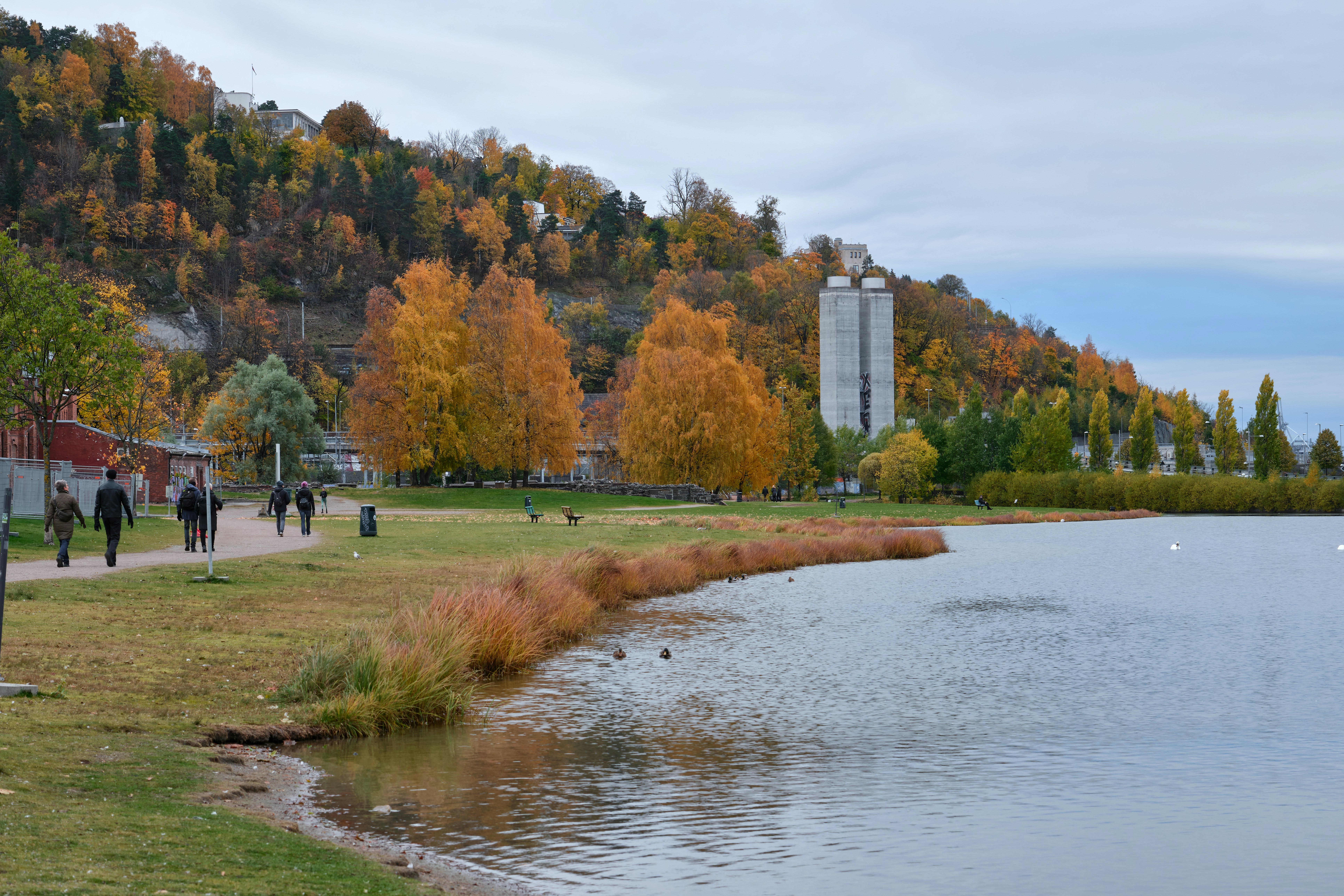 Lakeside Autumn: A White Tower Emerges Through Copper Canopy