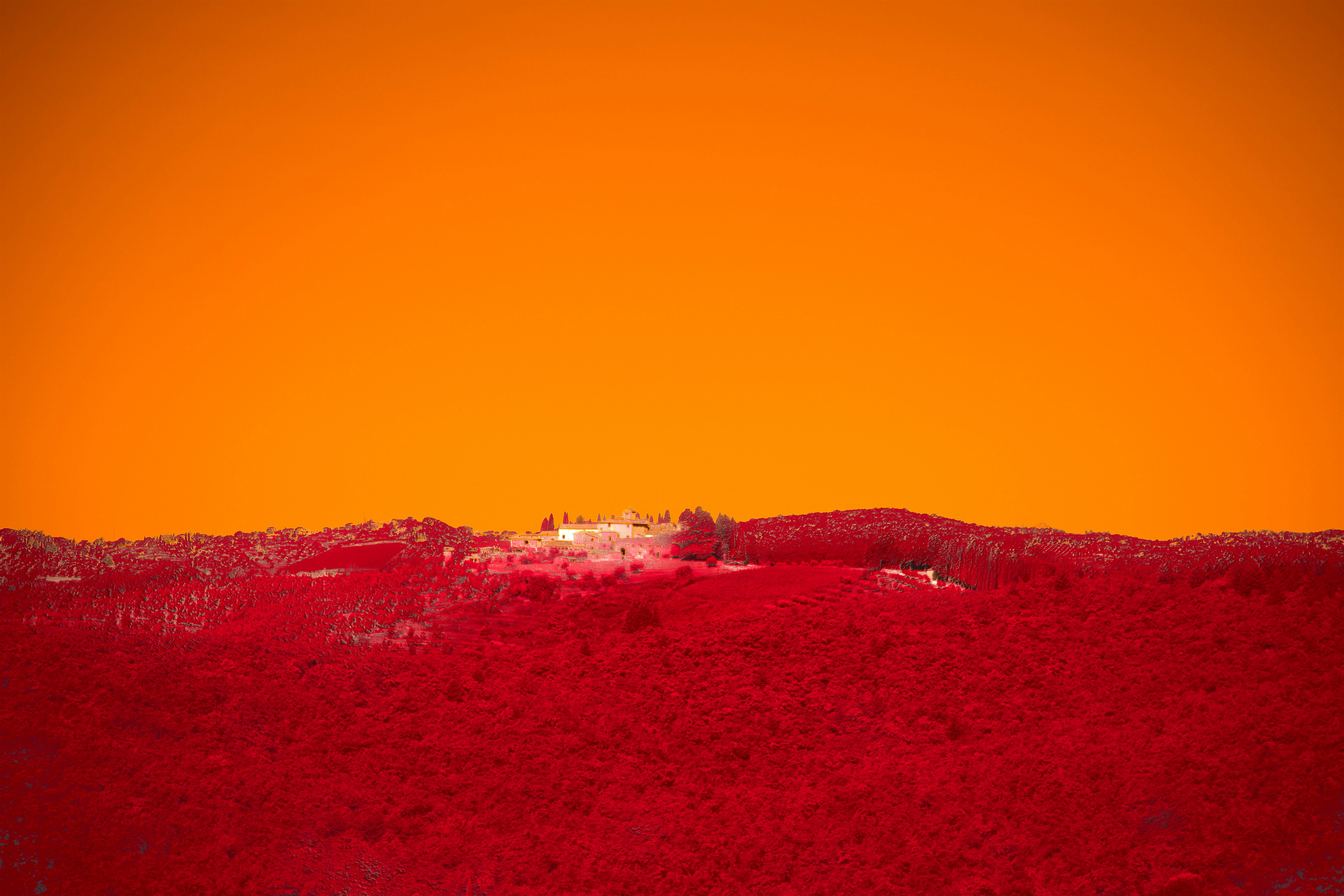 Sunset Dunes: A Red Desert Horizon Under a Fiery Veil
