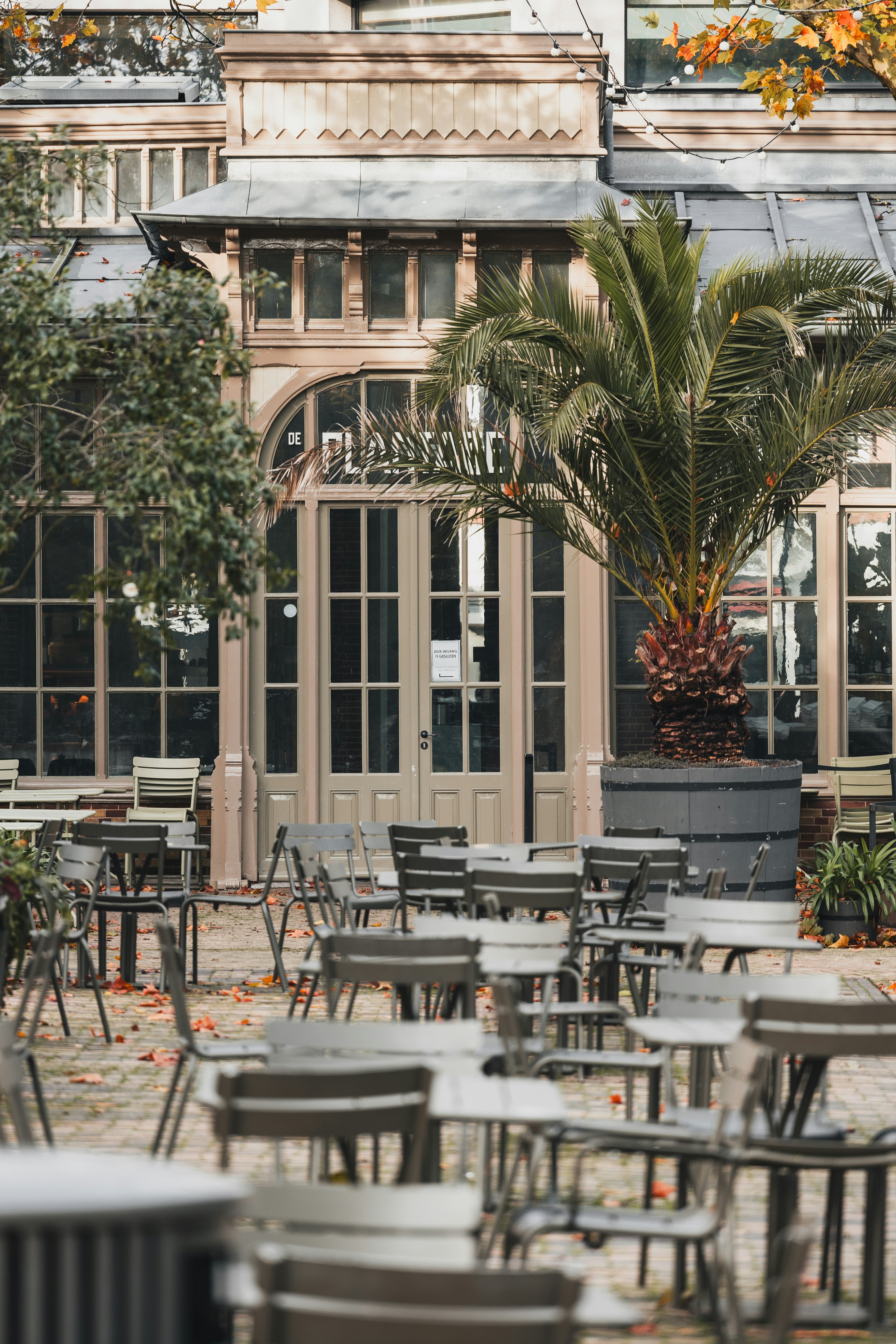 Palm-Framed Entrance of a Quiet City Café
