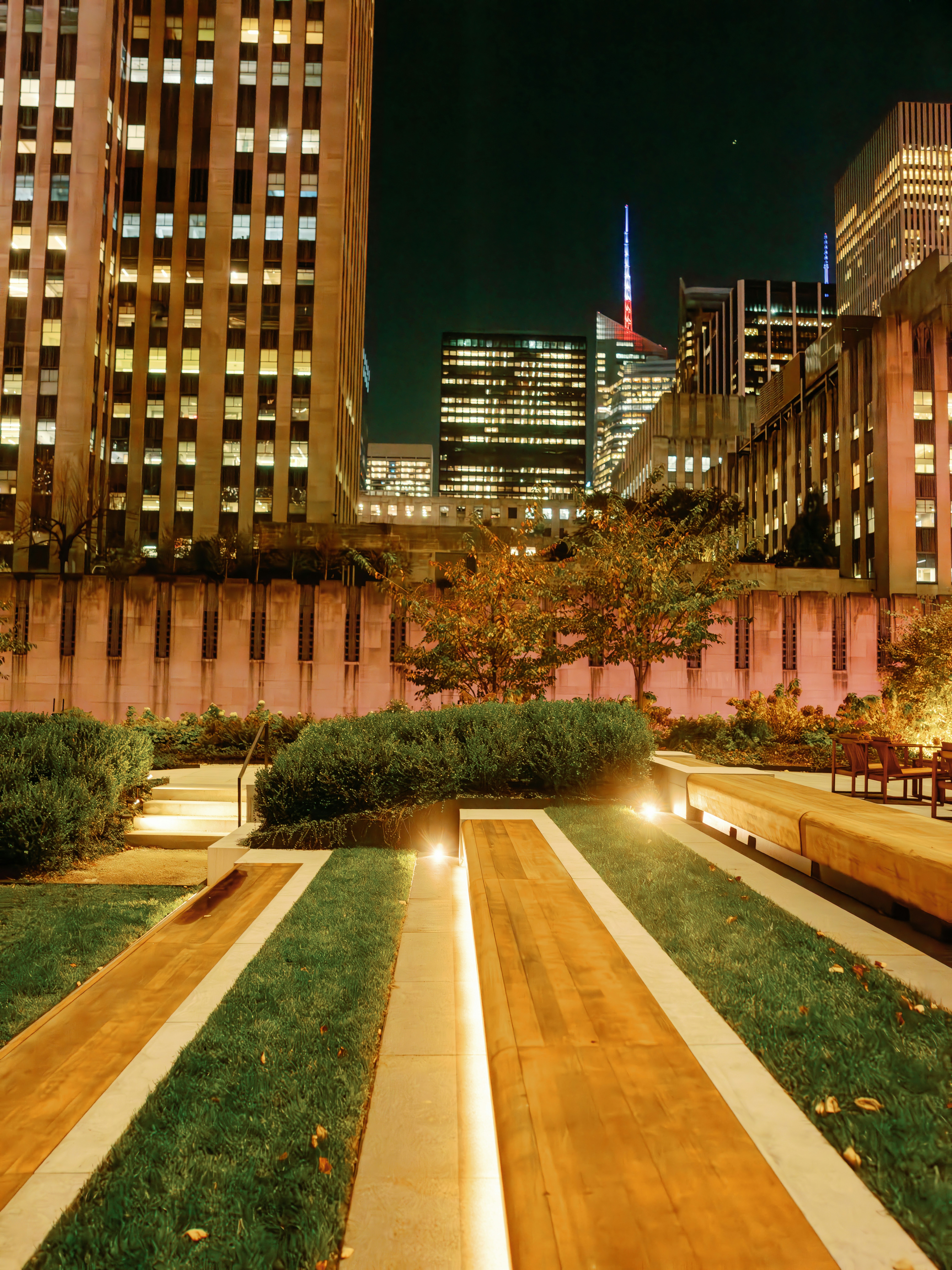 A view of a city at night from a park photo – Free City Image on Unsplash