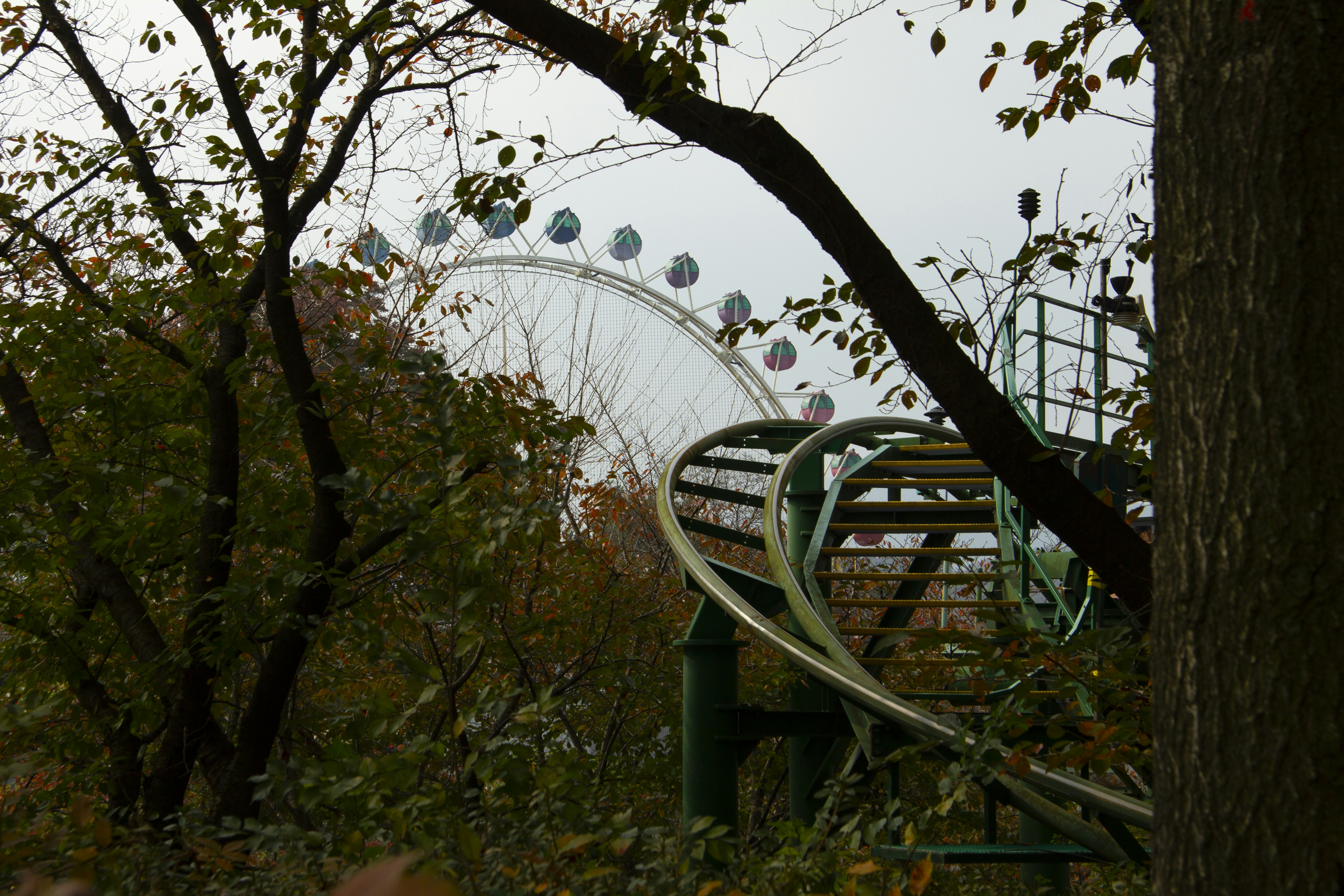 Photo by Hoyoun Lee with Canon EOS 60D