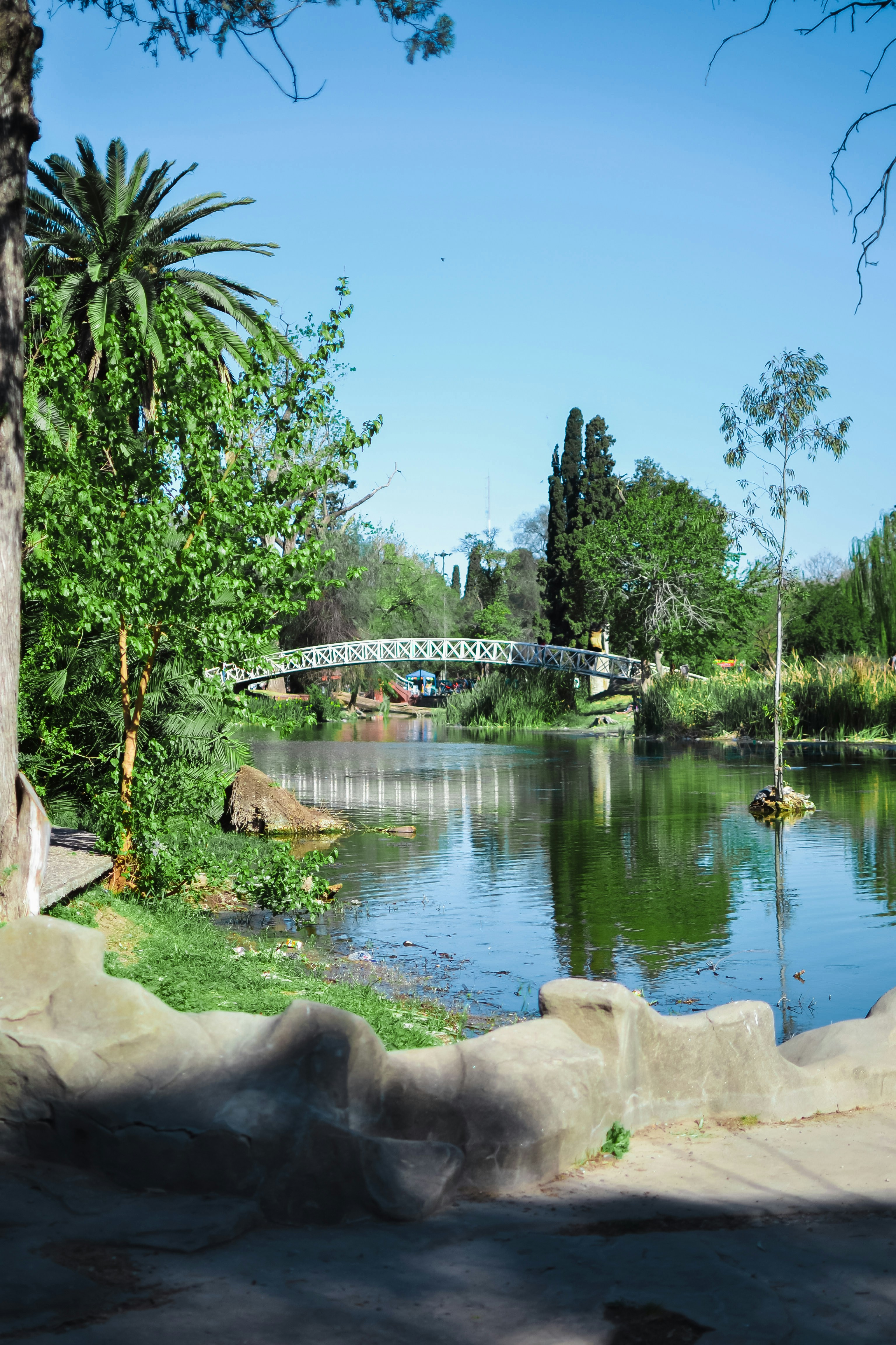 Photo by Gabriel Martin with Nikon D3100