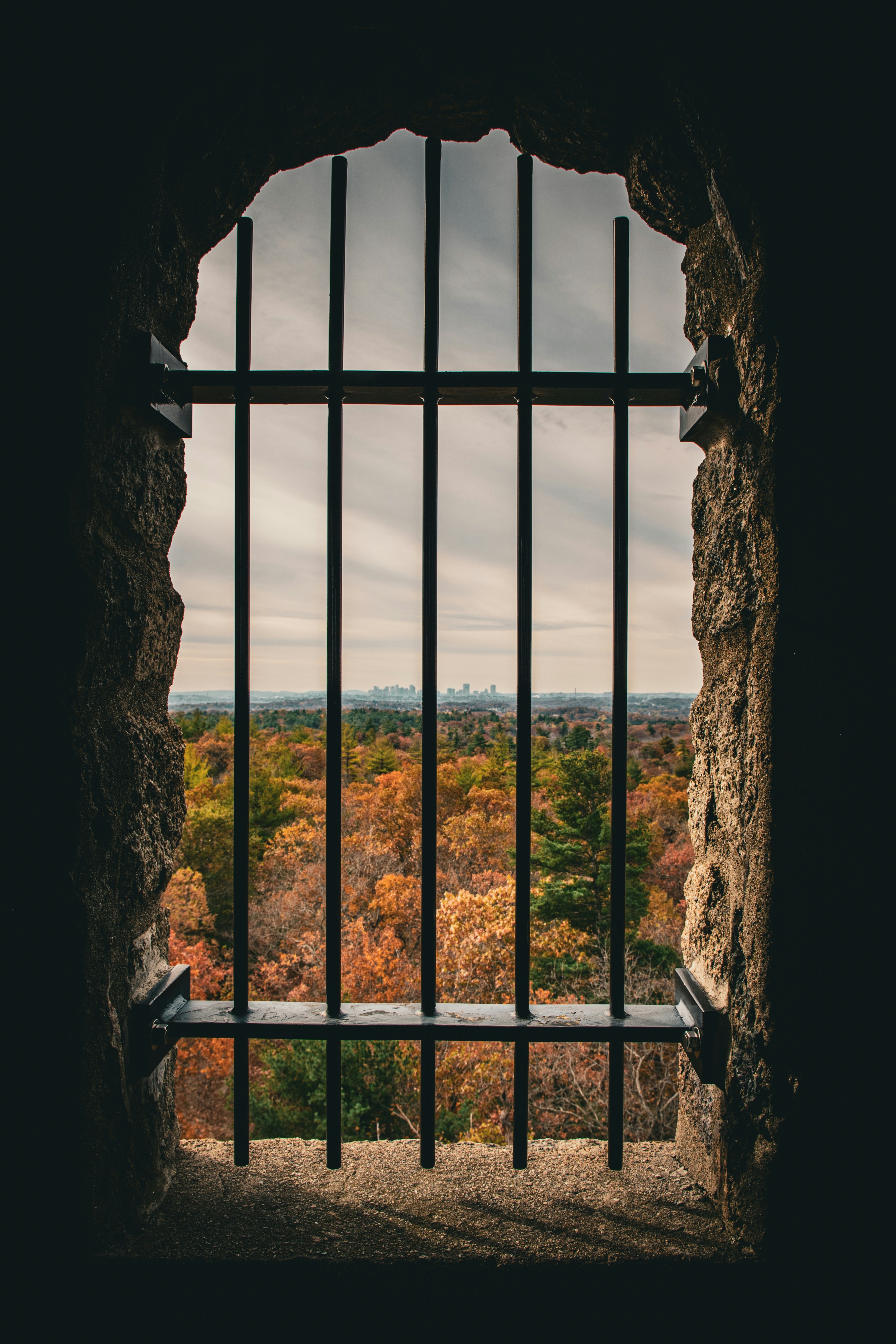 A view of a forest through a barred window photo – Free Window Image on ...