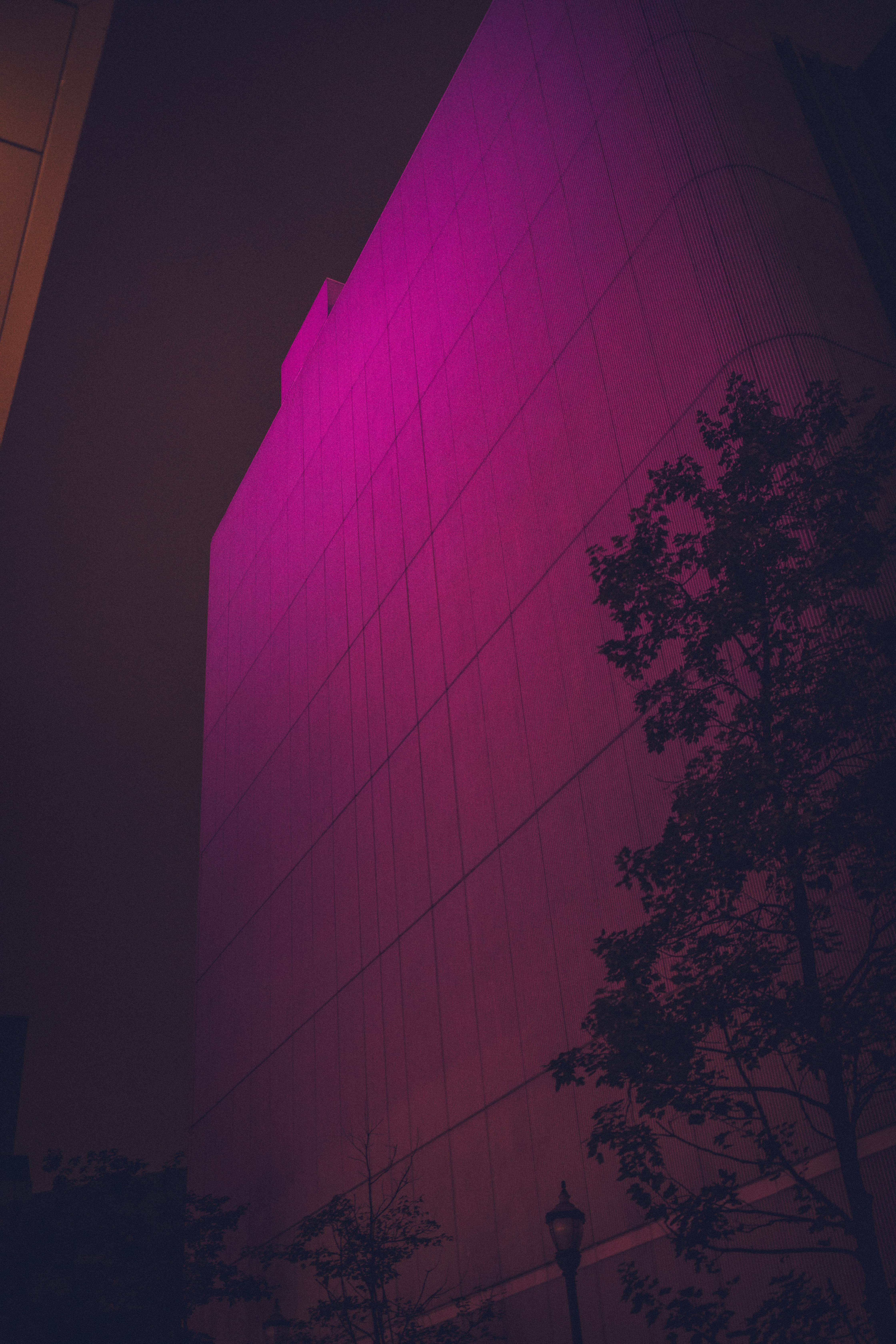magenta light reflecting on a flat tall building at night