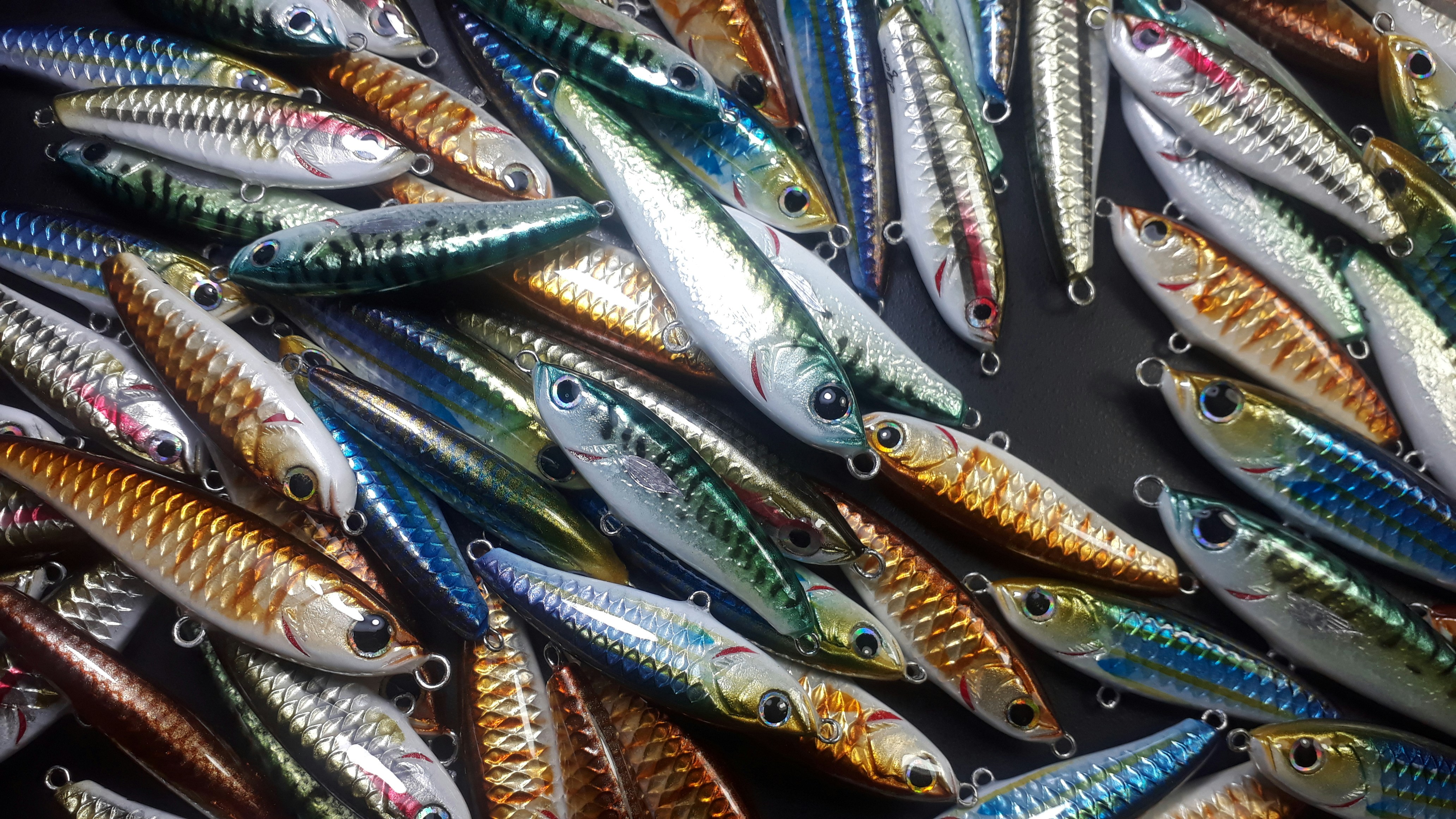 A bunch of fish that are on a table photo – Free Lures Image on Unsplash