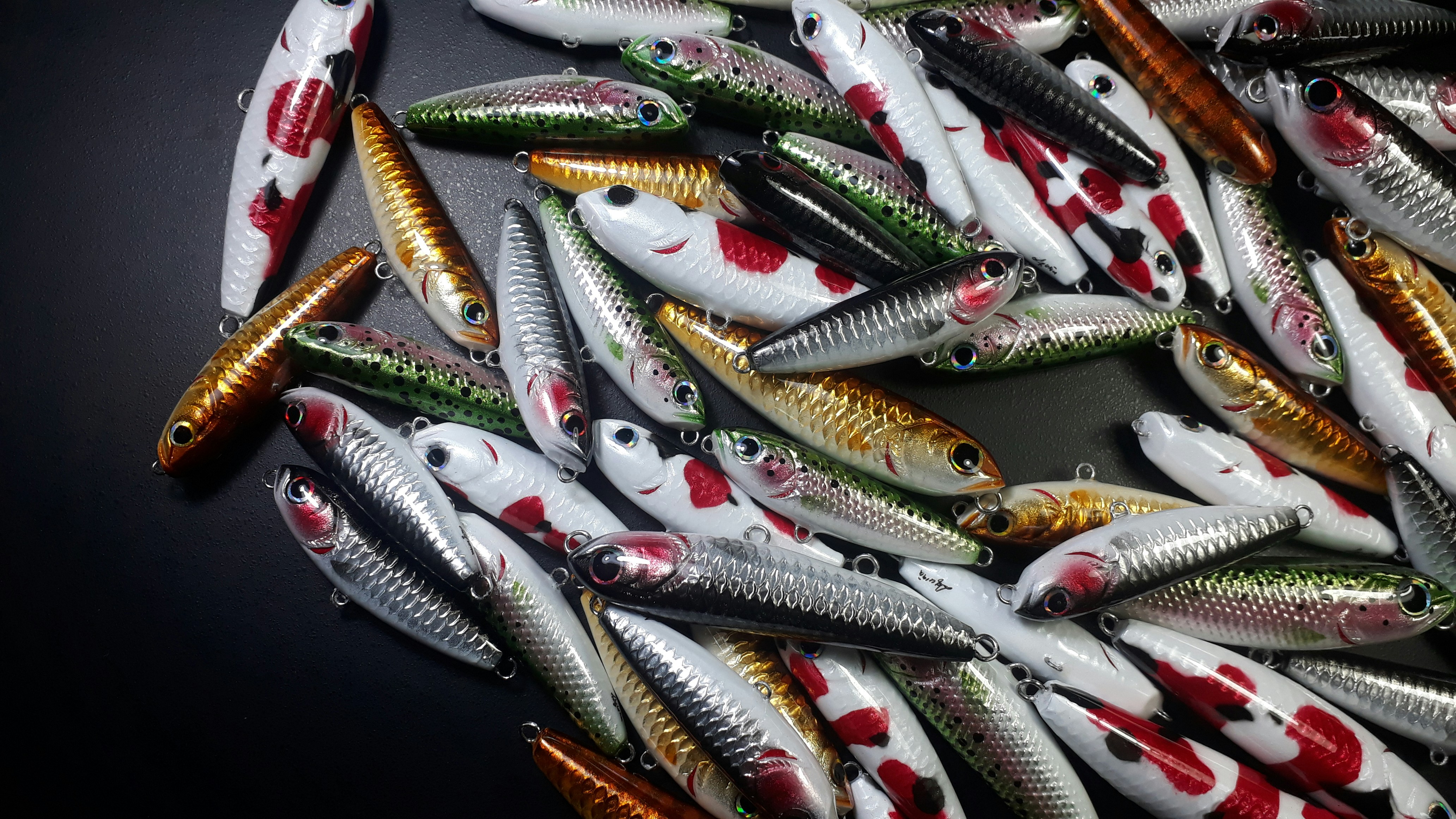 A bunch of different types of fish on a table photo – Free Fishing ...