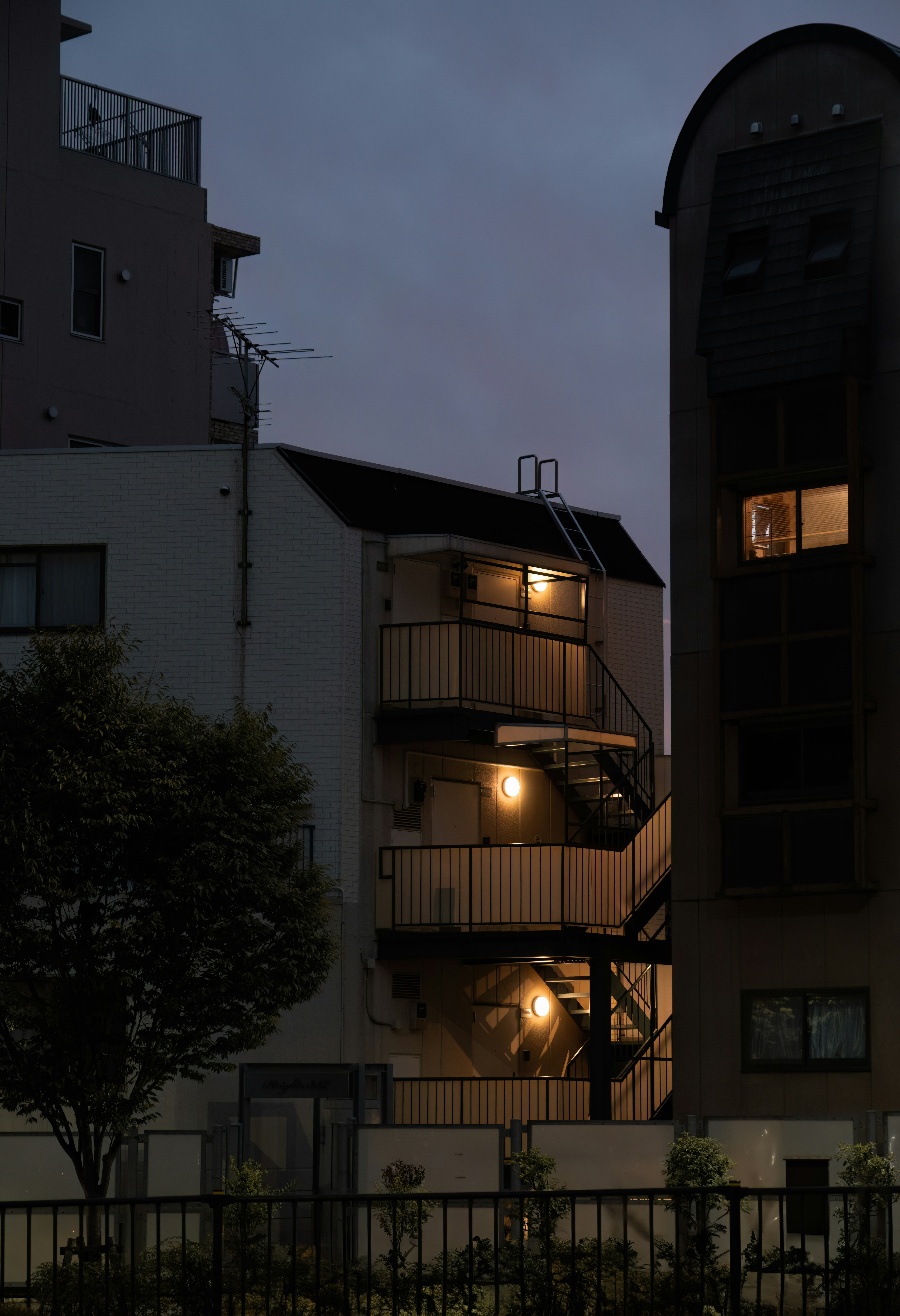 Photo by Weichao Deng with Sony Alpha 7R II