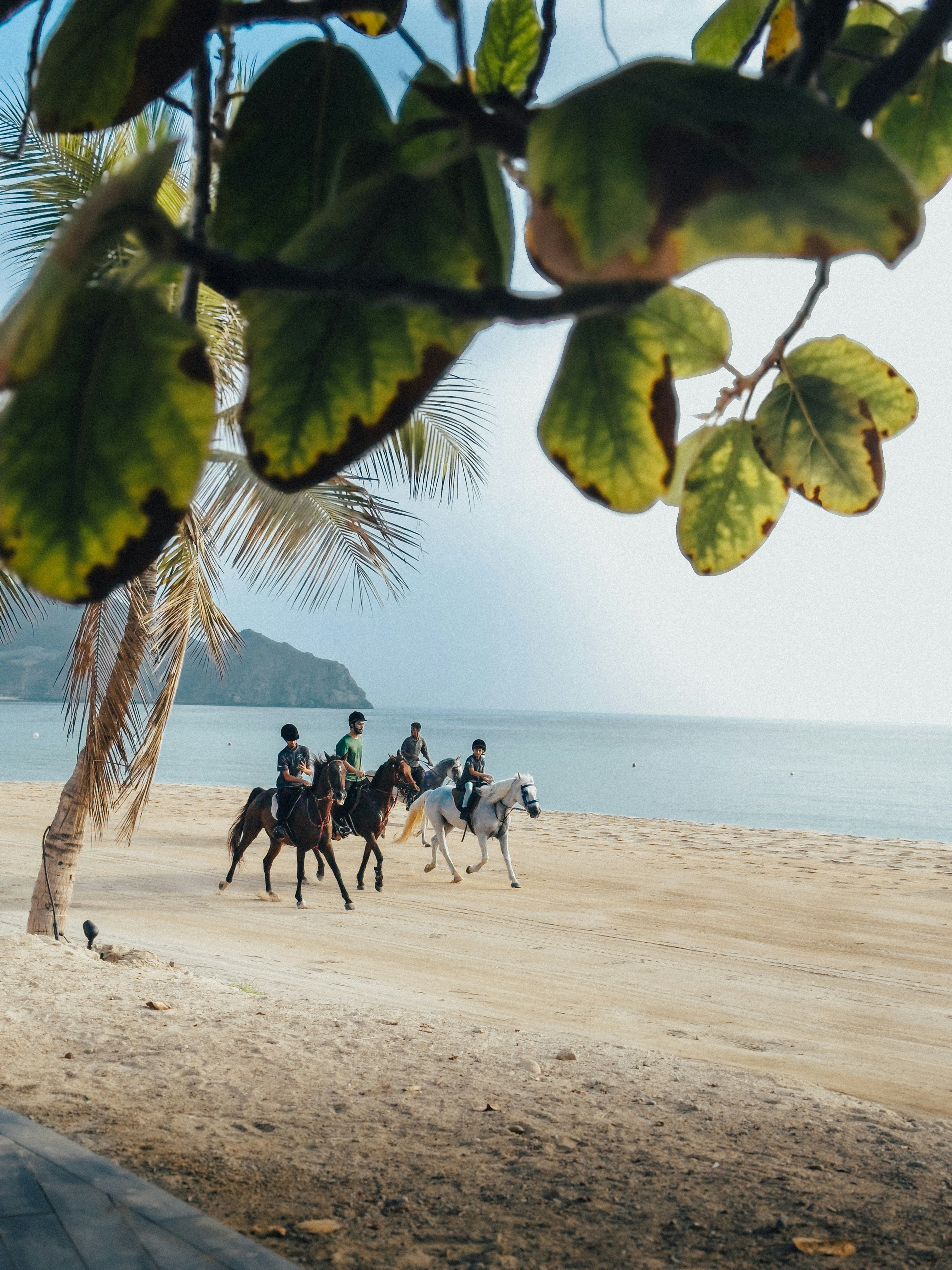 A group of people riding horses on a beach photo – Free Shoreline Image ...