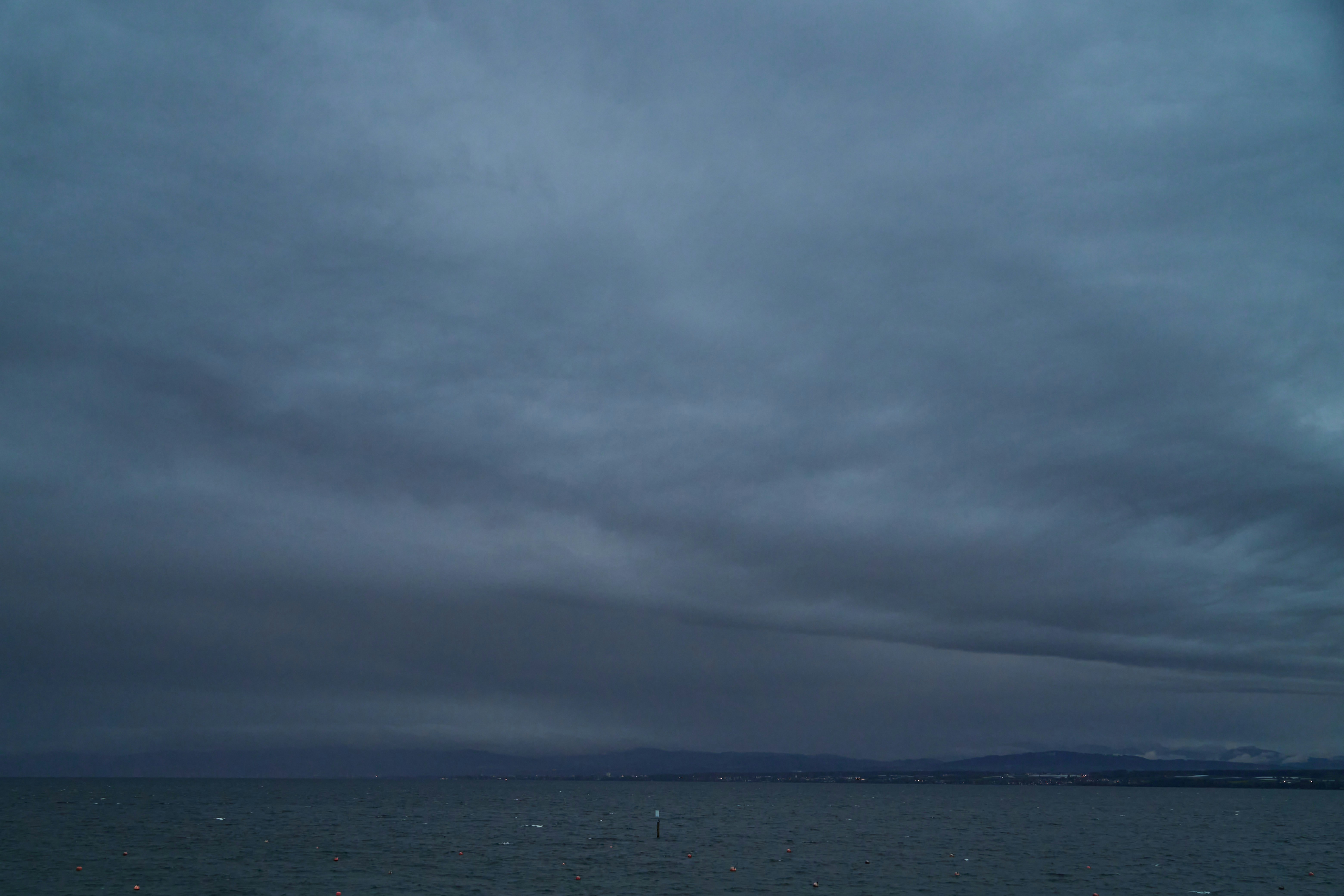 Photo by Wolfgang Hasselmann with Sony Alpha 7 IV