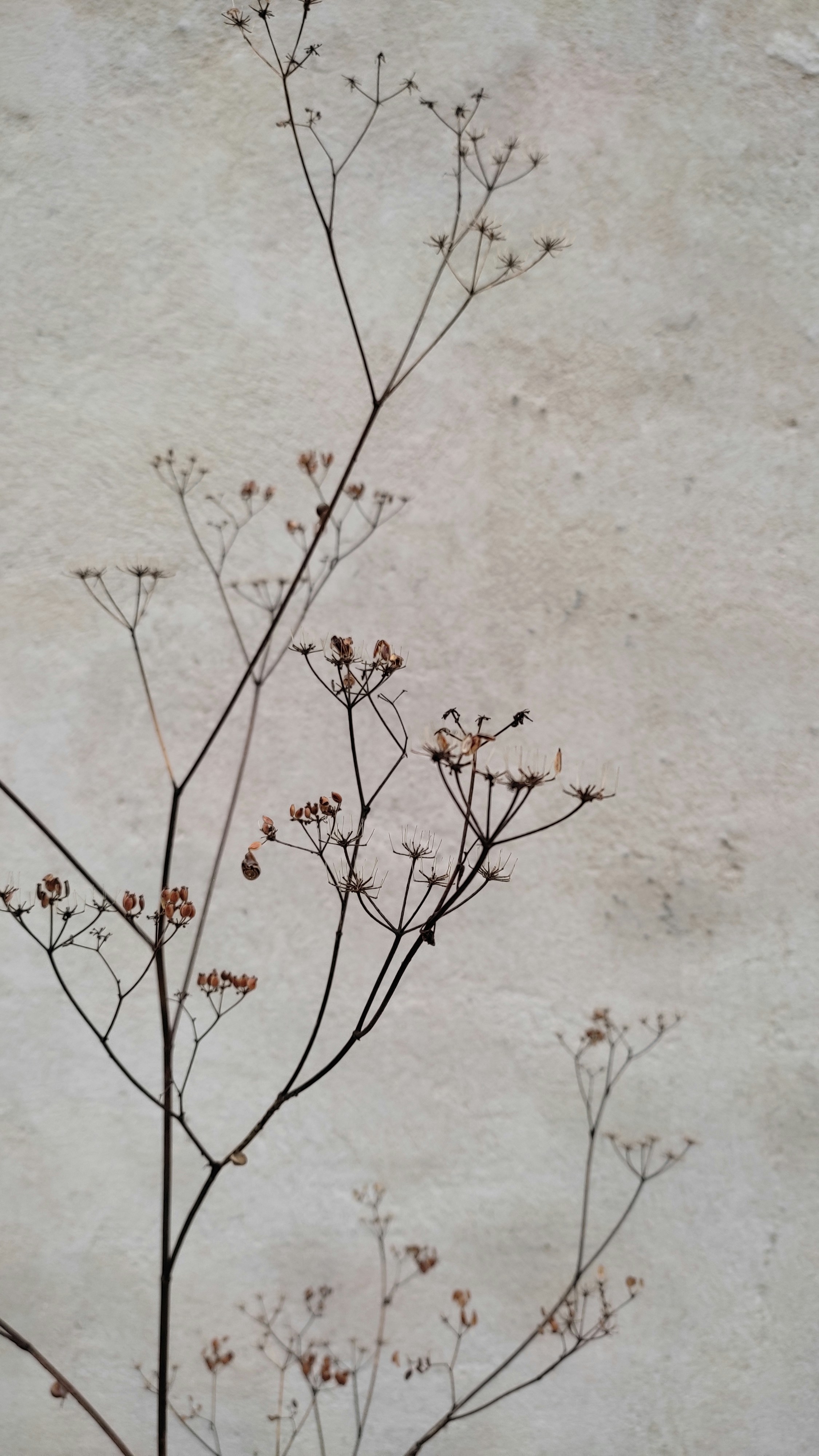 Sample photo from Xiaomi Redmi Note 10