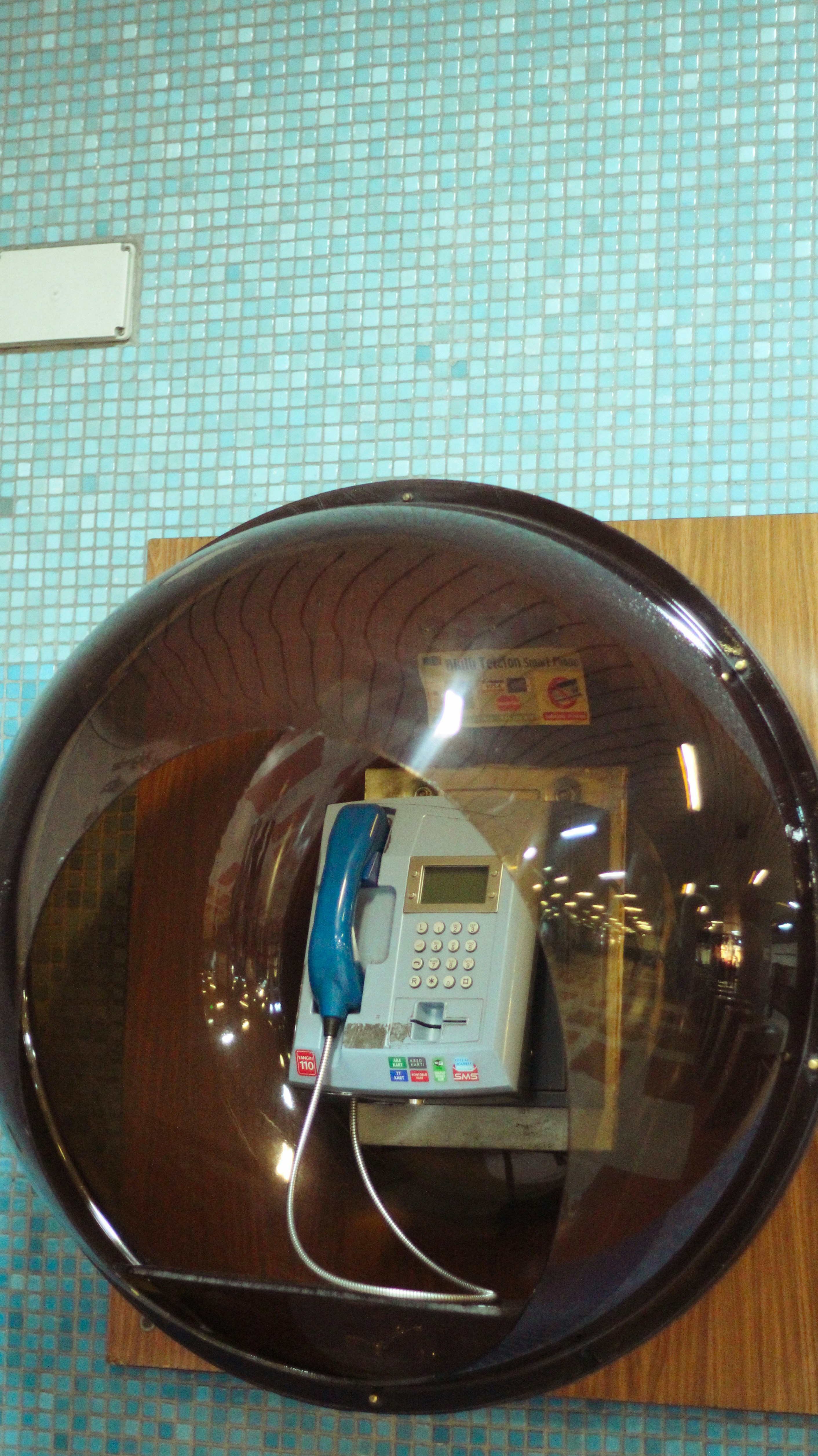 Photo by Esra Korkmaz with Canon EOS 4000D