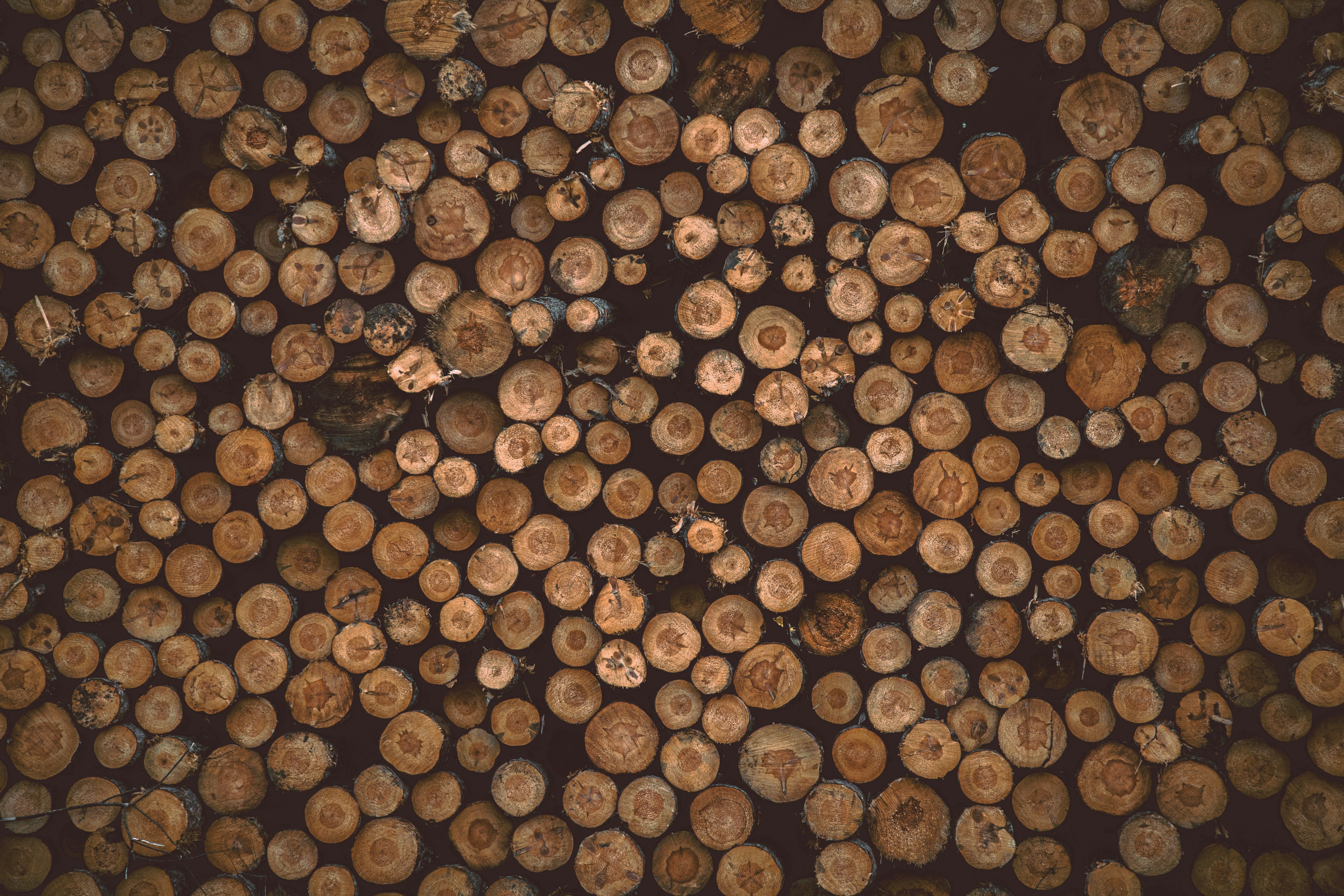 A bunch of logs stacked on top of each other photo – Free Lumber Image ...