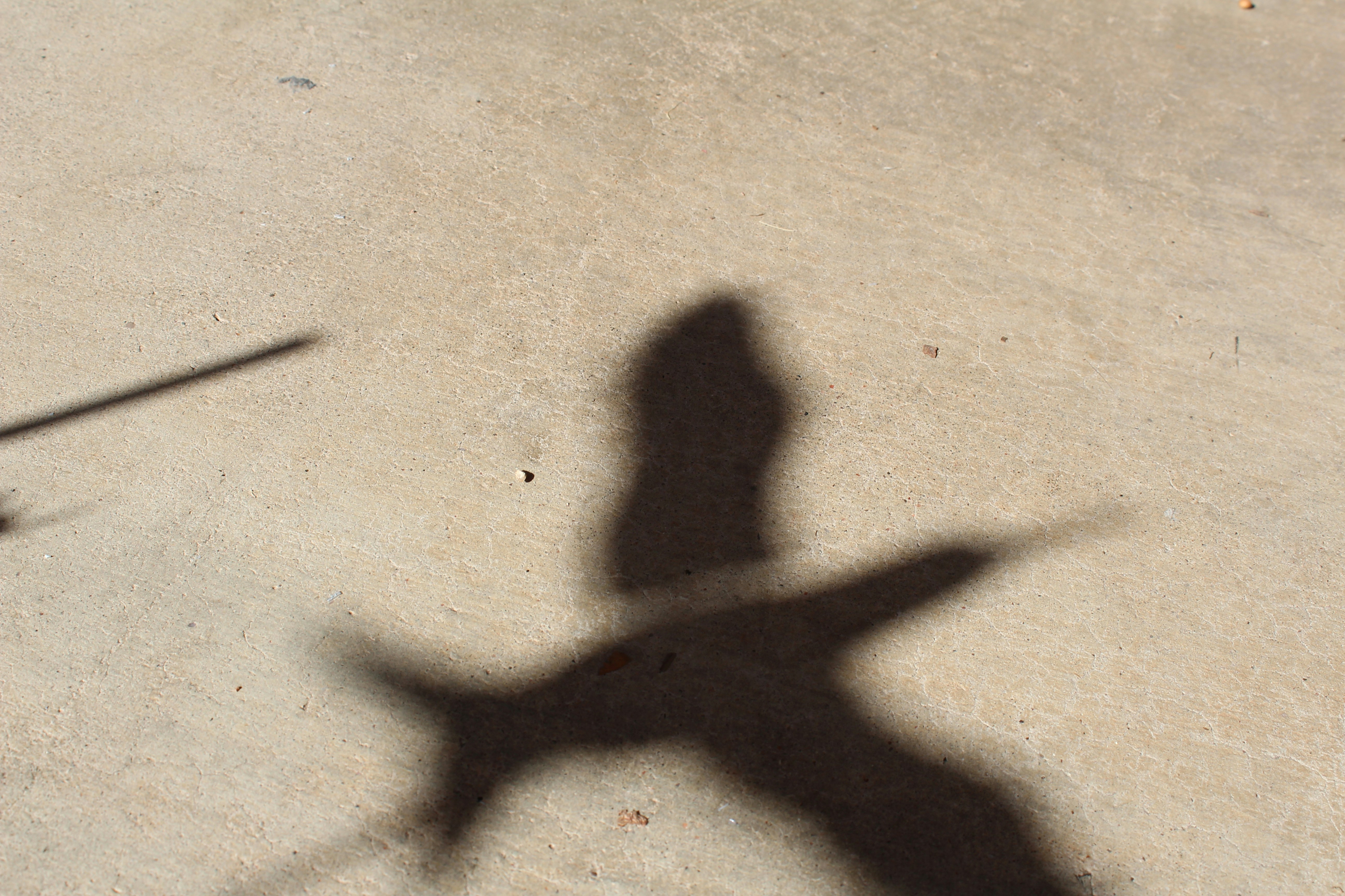 Noon Shadow Sketch: A Birdlike Silhouette Cast on Sunlit Sand