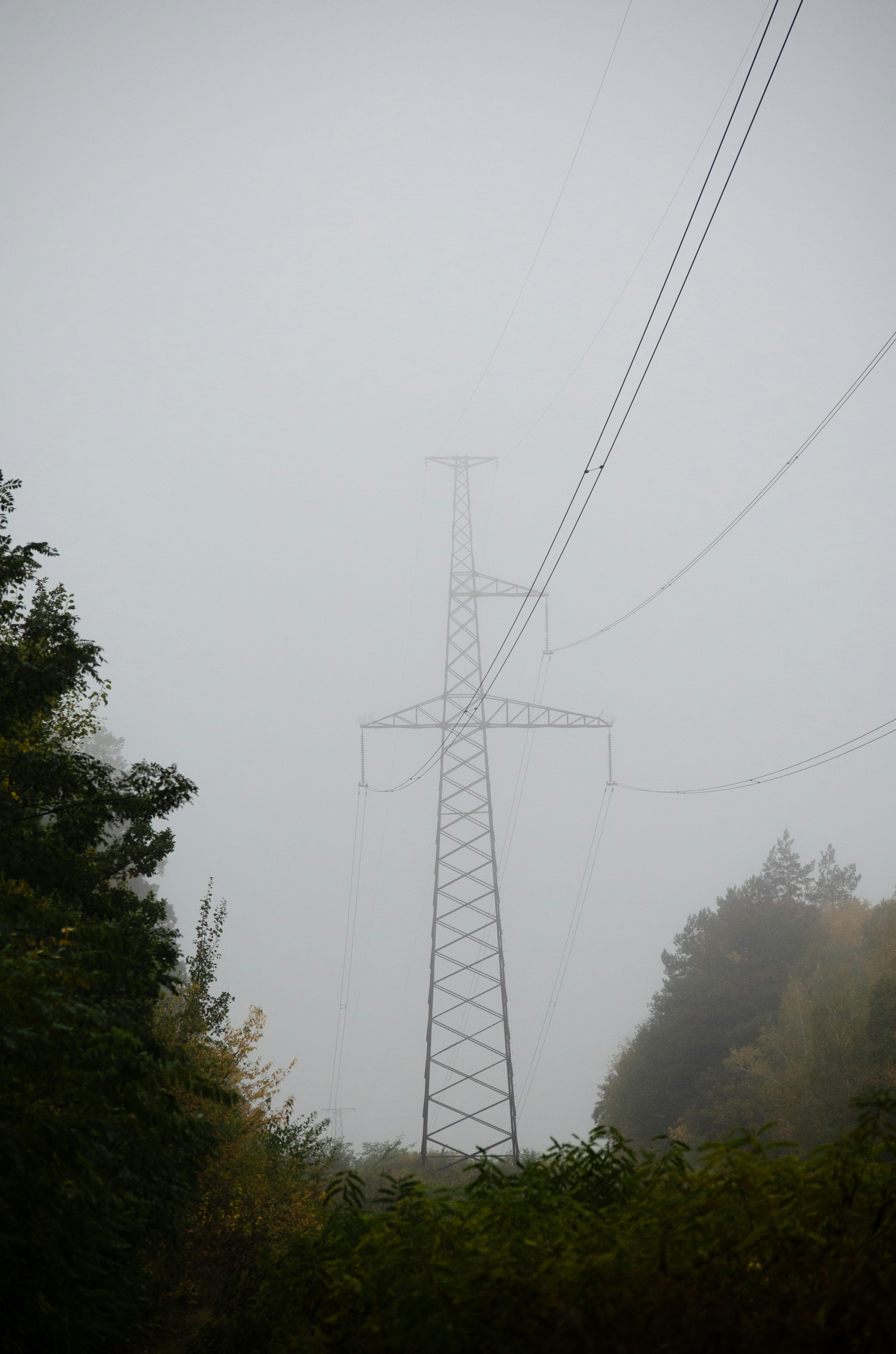 Fogbound Lattice: The Silent Transmission Tower
