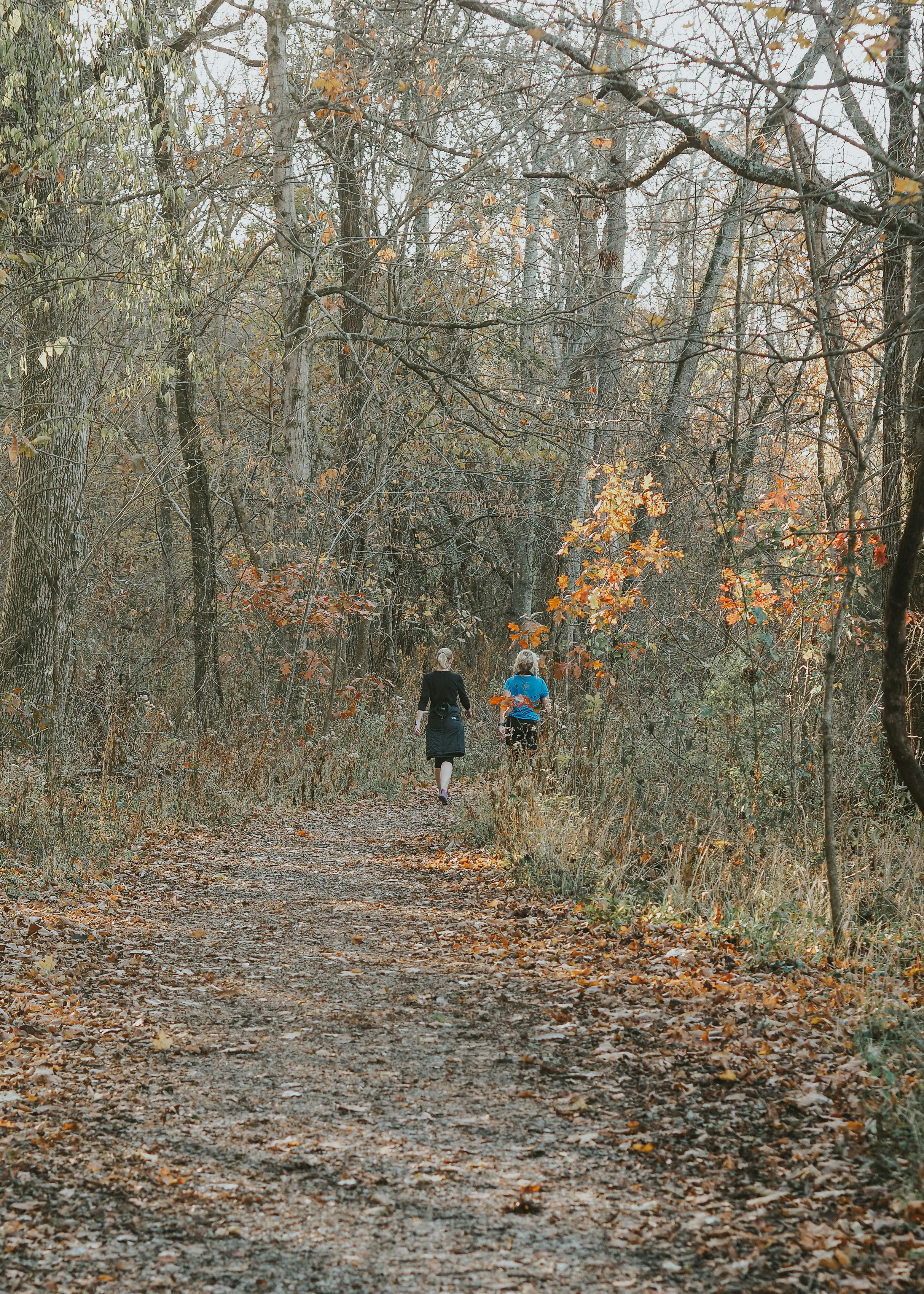 Two people walking down a path in the woods photo – Free Path Image on ...