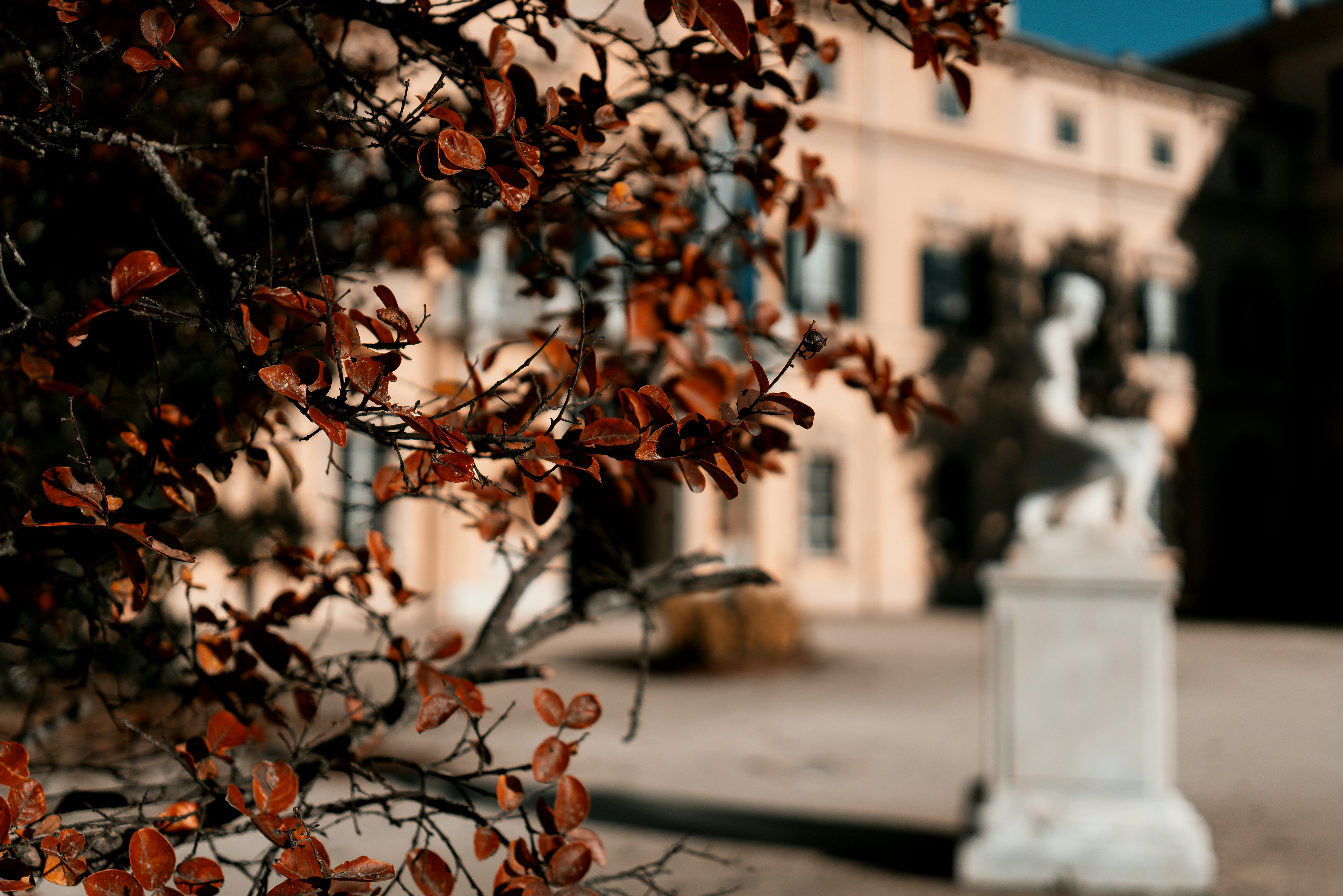 Crimson Foliage Framing a Classical Plaza's Quiet Statue
