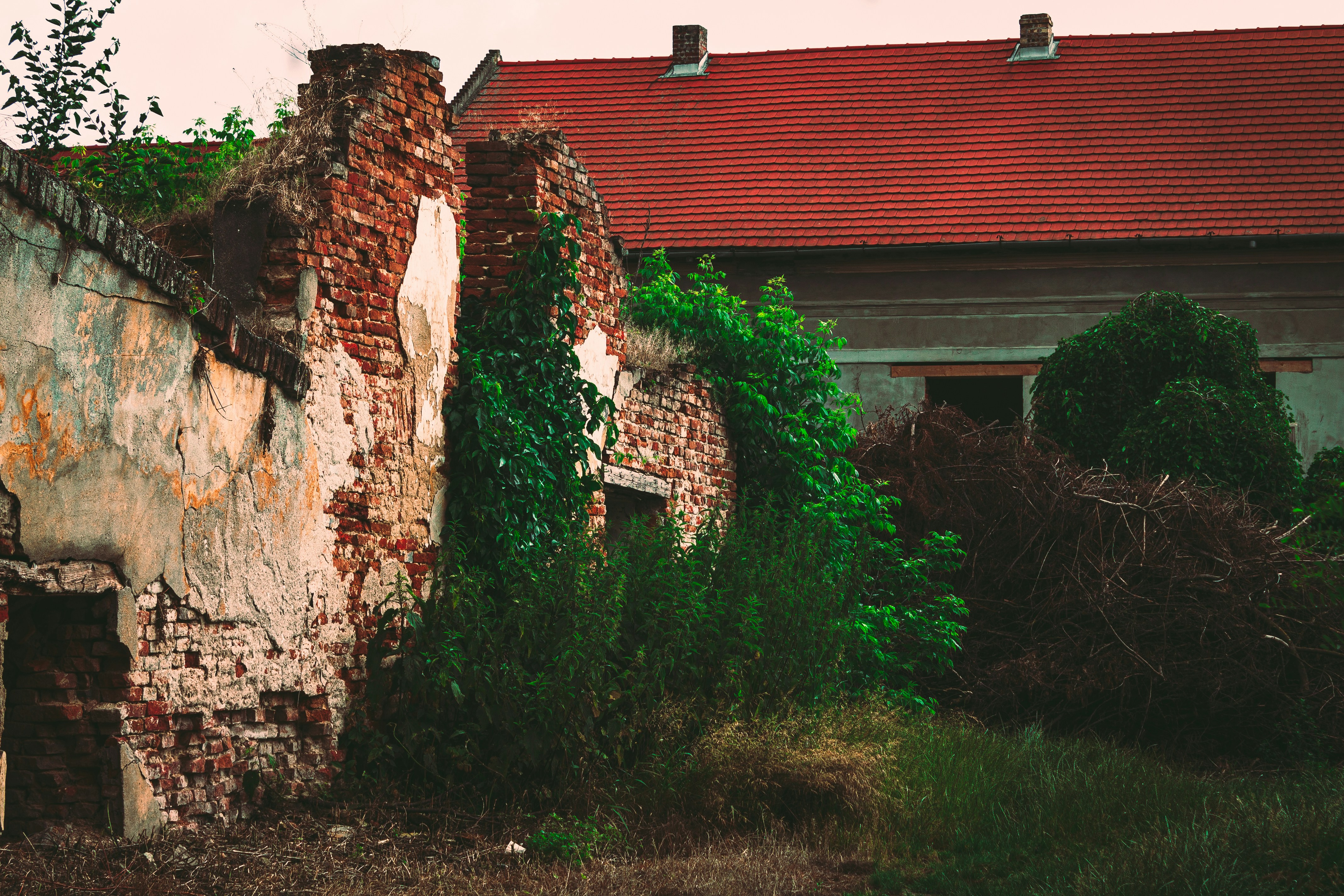 Photo by Czapp Botond with Canon EOS 1100D