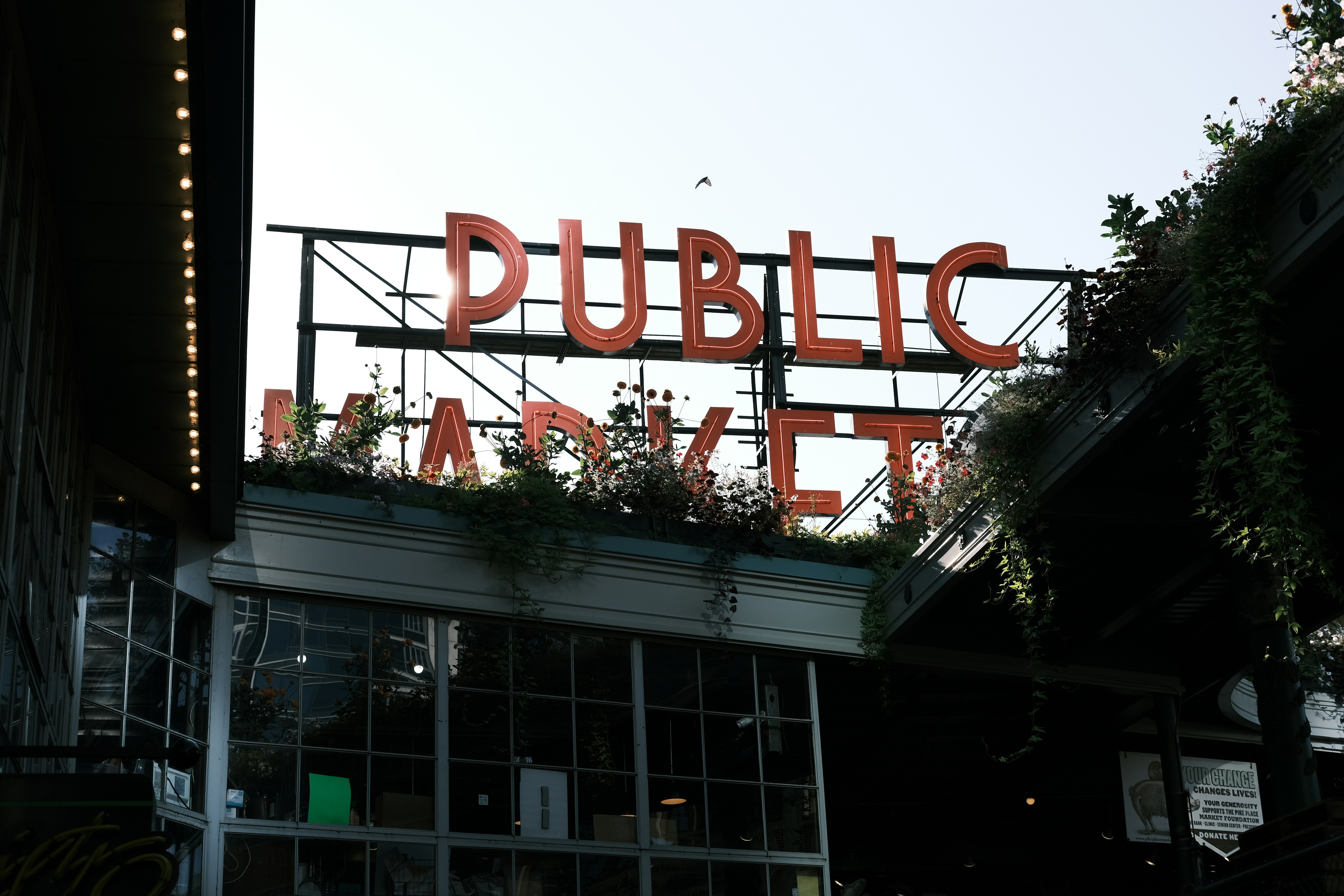 Vibrant neon sign reading 'PUBLIC MARKET' amidst lush greenery, showcasing a lively marketplace atmosphere.