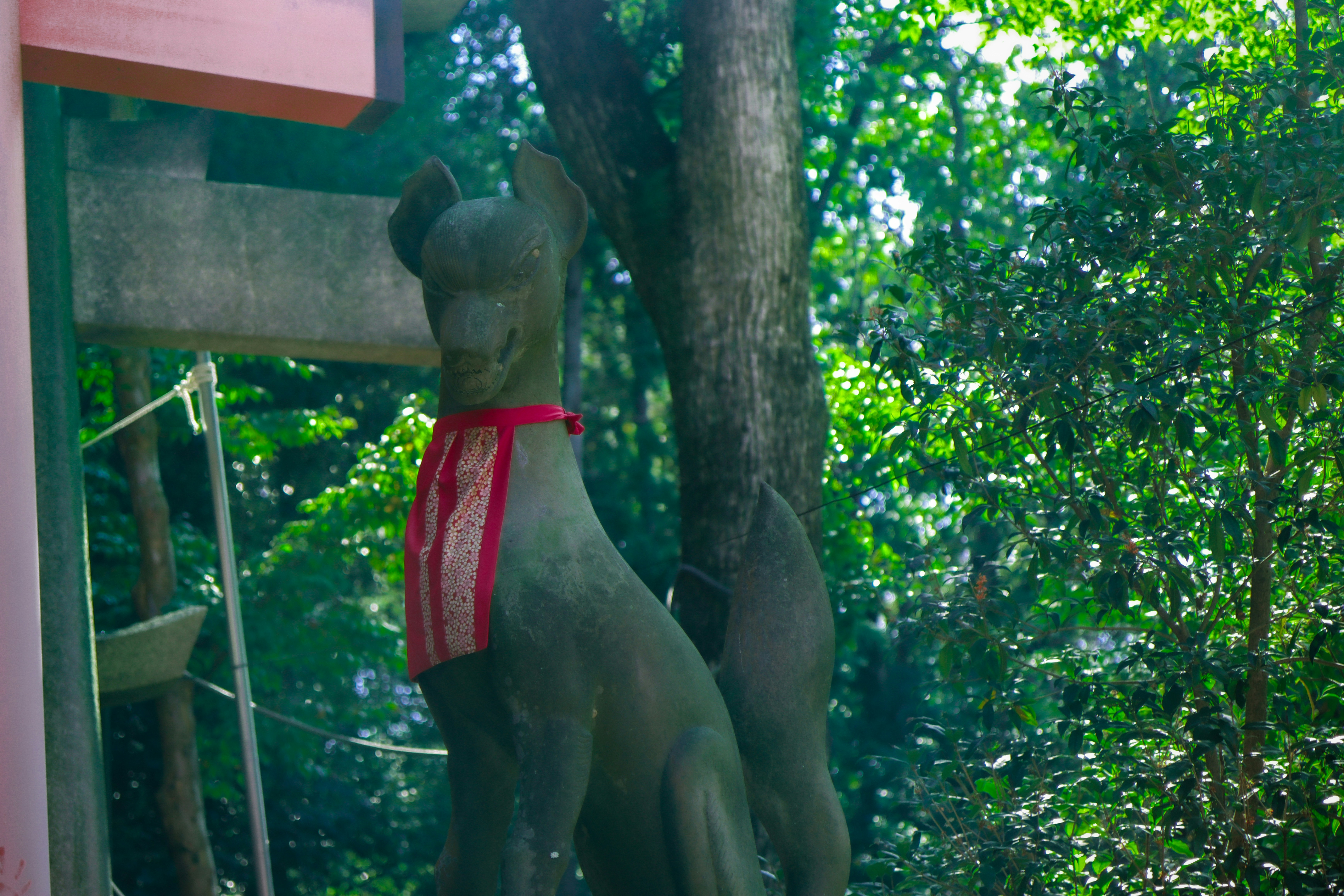 Red-sashed guardian dog statue amid a sunlit shrine garden