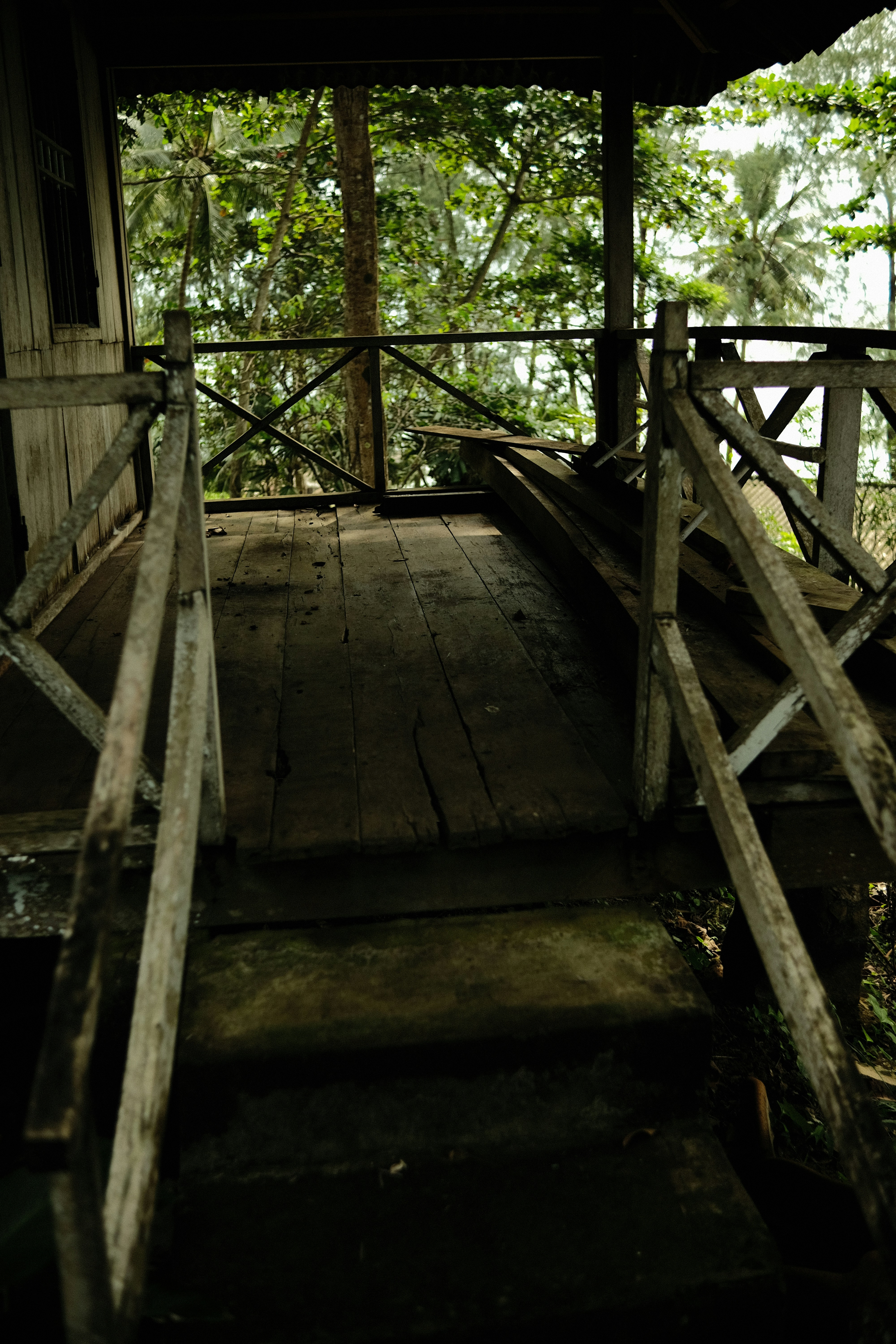 Weathered Porch at the Forest's Edge