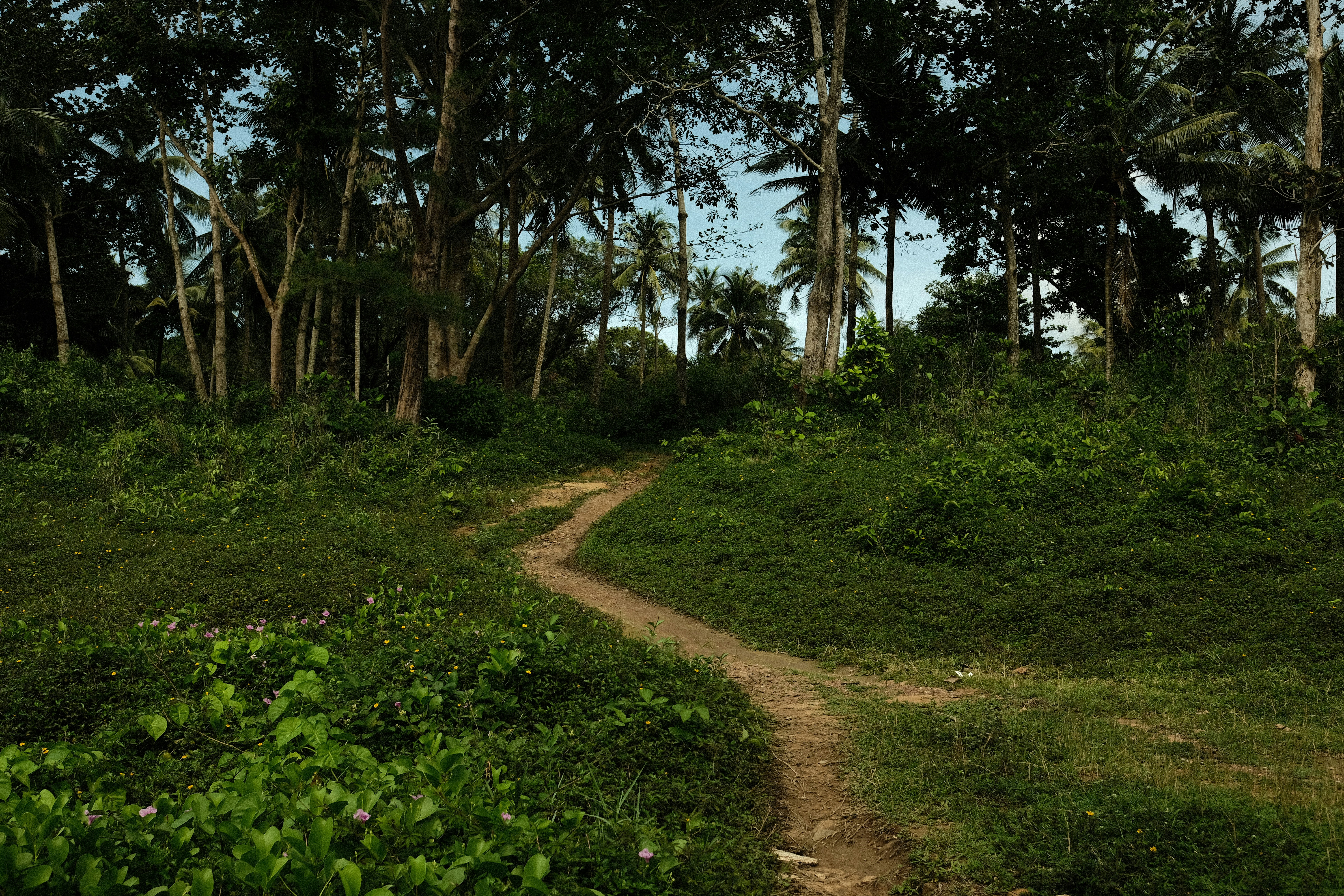 Photo by Thi Nguyen Duc with Fujifilm X-T2