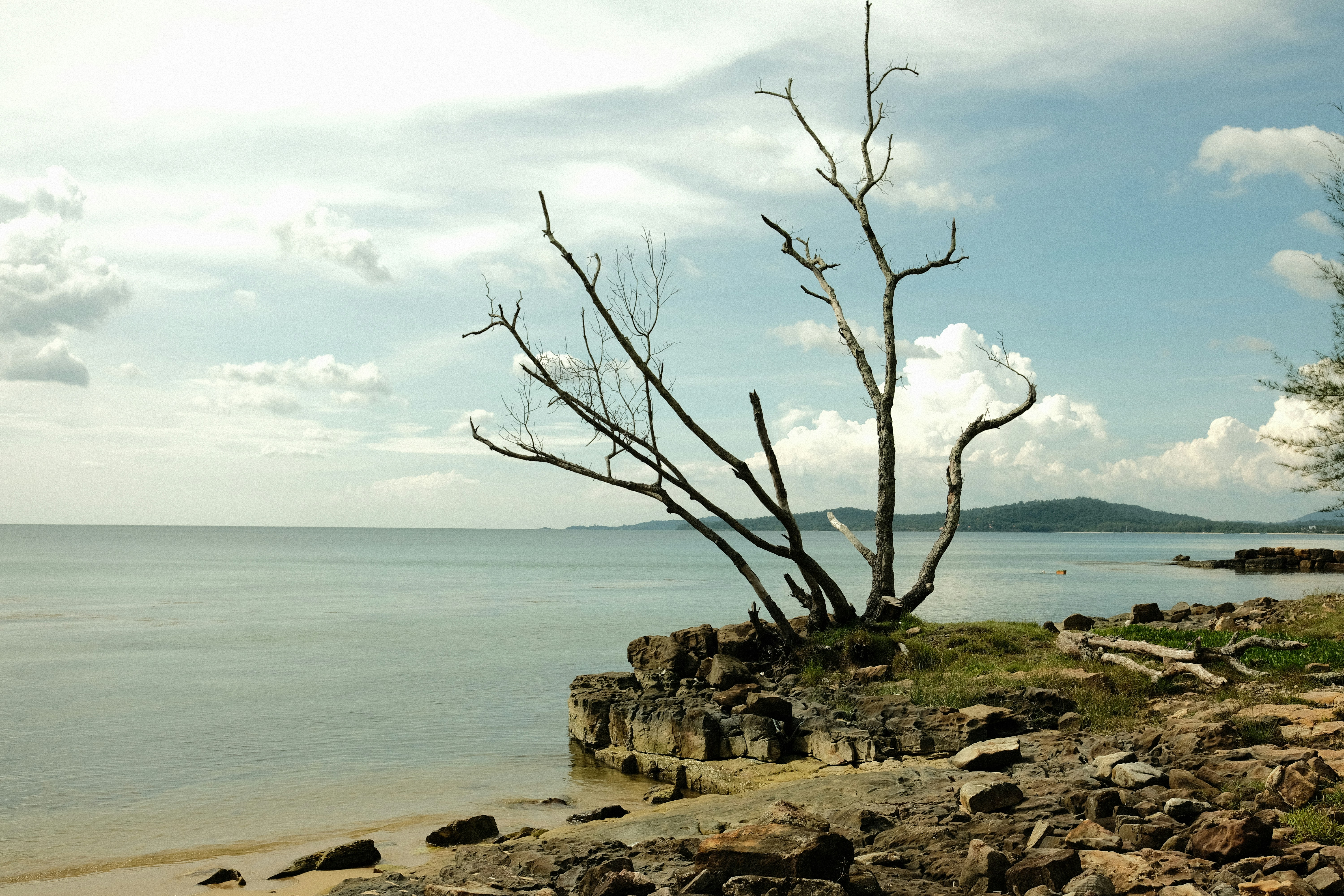 Photo by Thi Nguyen Duc with Fujifilm X-T2