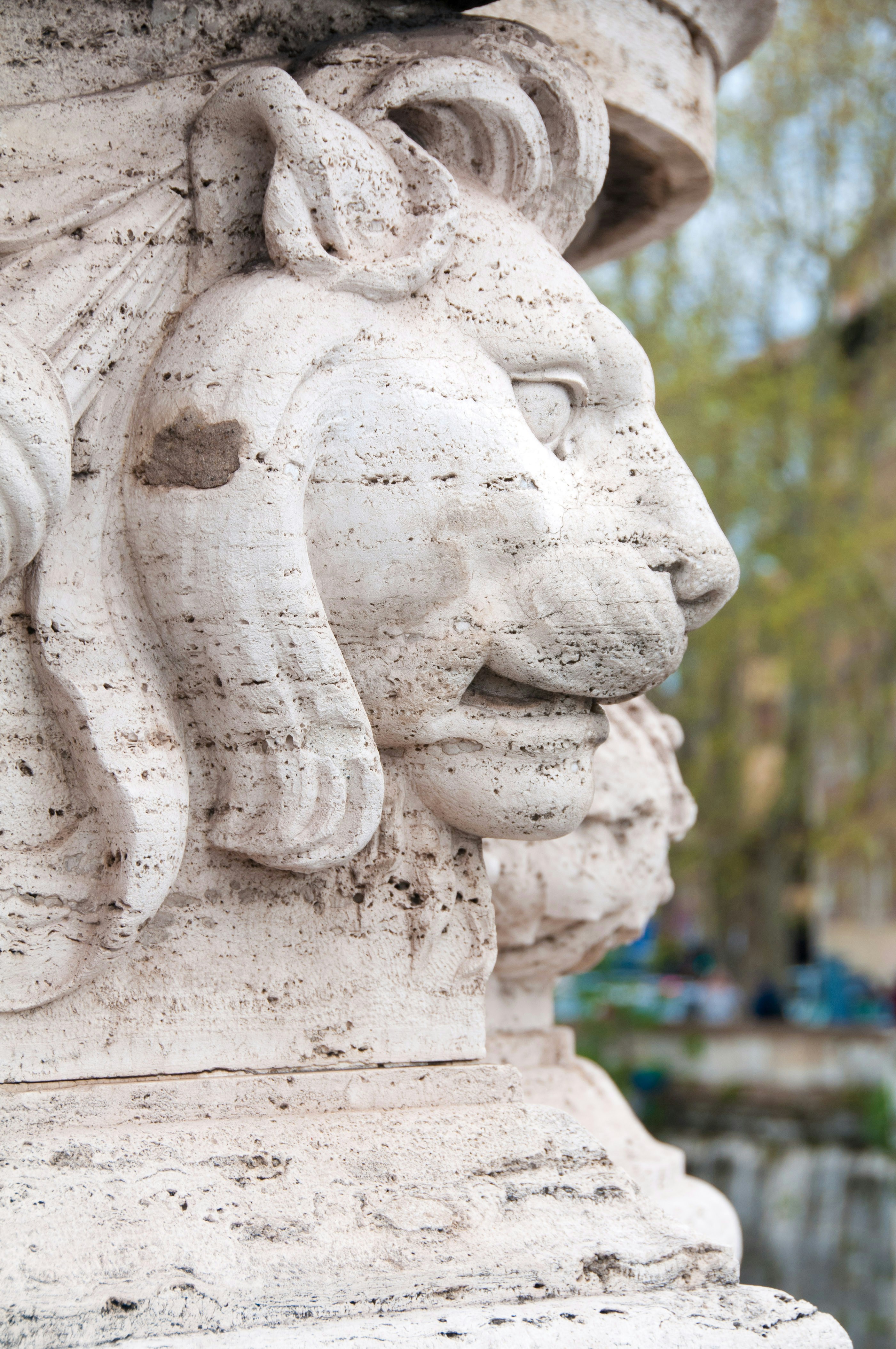 Weathered Sentinel: Close-Up of a Stone Lion