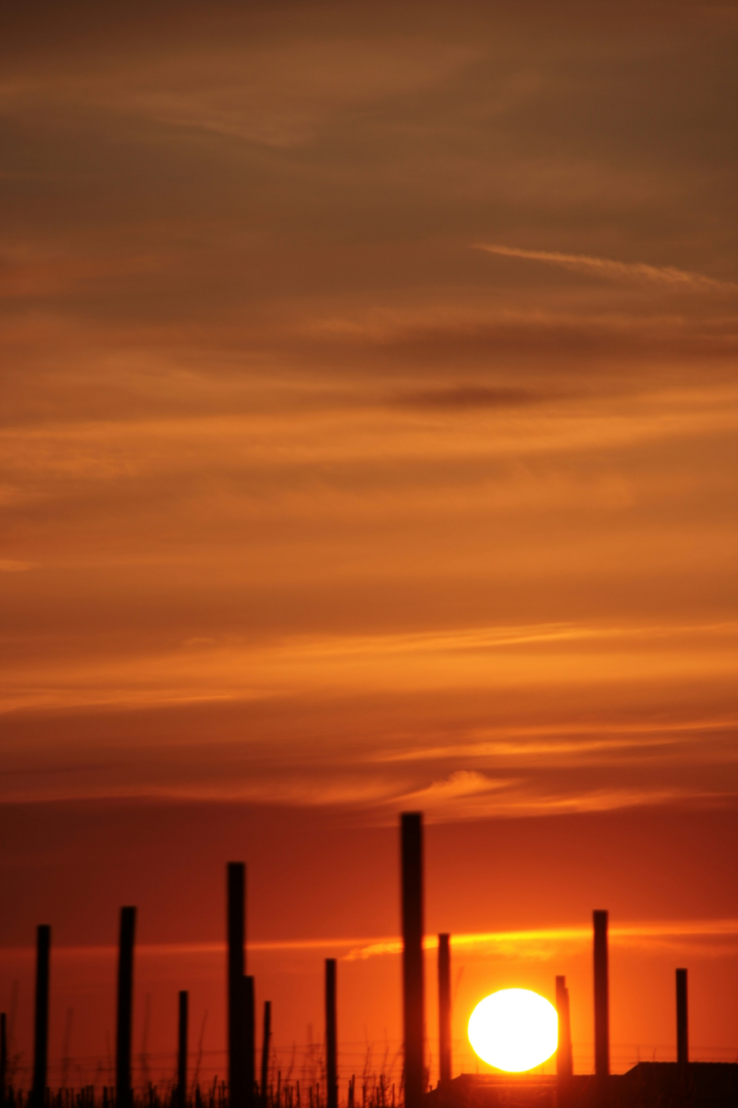 The sun is setting behind a row of poles photo – Free El tarròs Image ...
