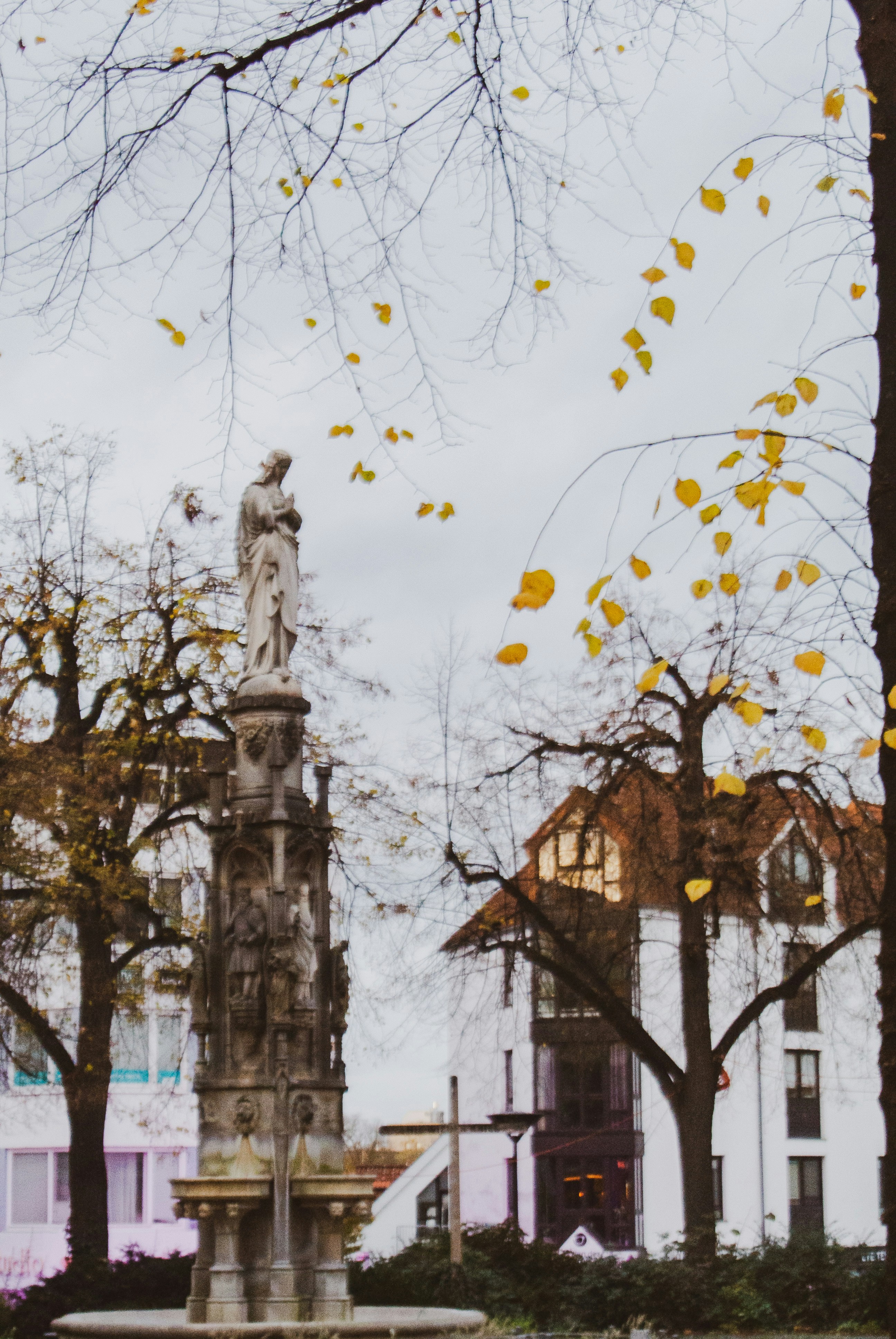 Photo by Tom Ru with Nikon 1 J1