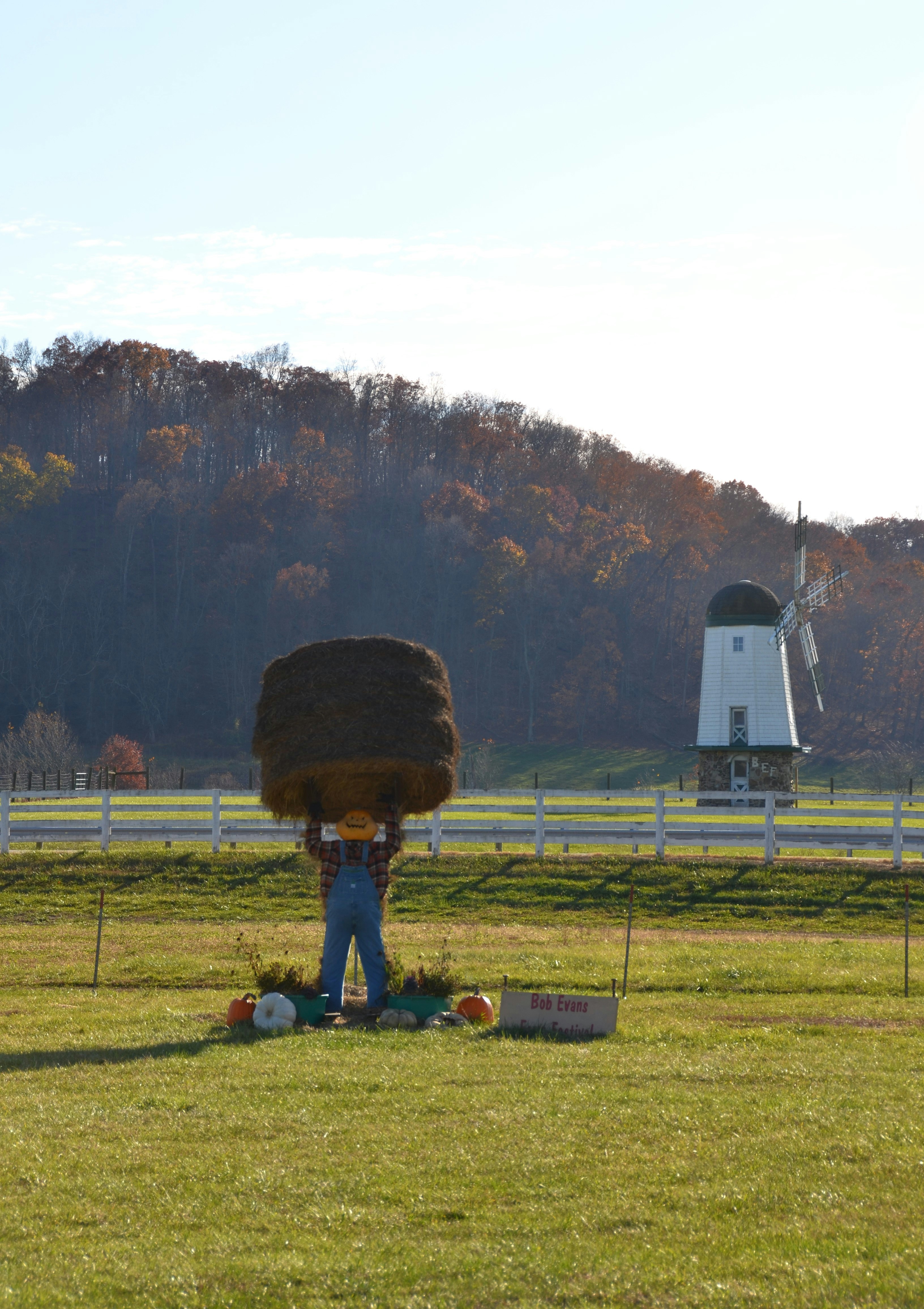 A person standing in a field with a large piece of hay on their head ...
