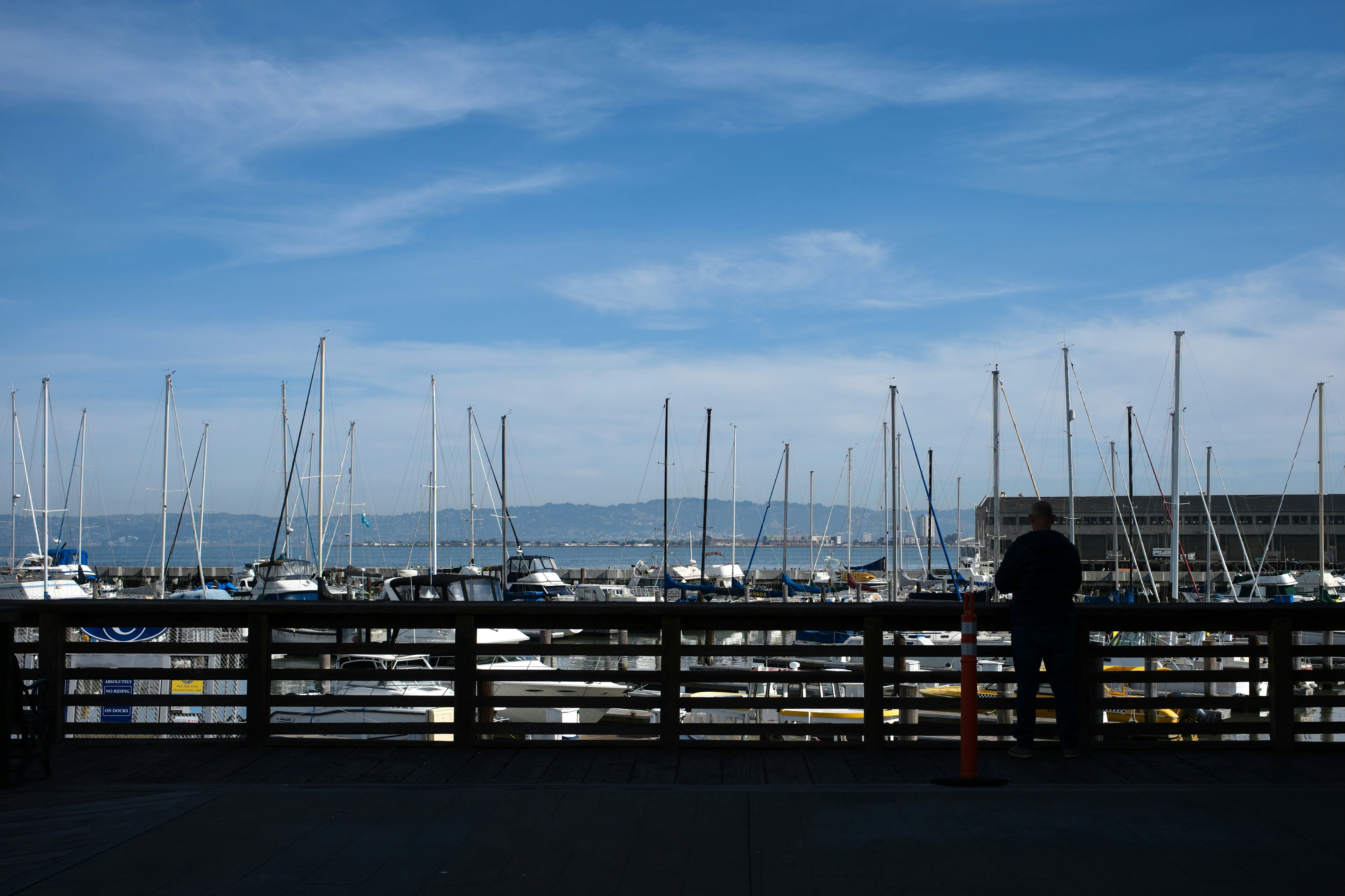 Silhouetted Observer at the Marina Horizon
