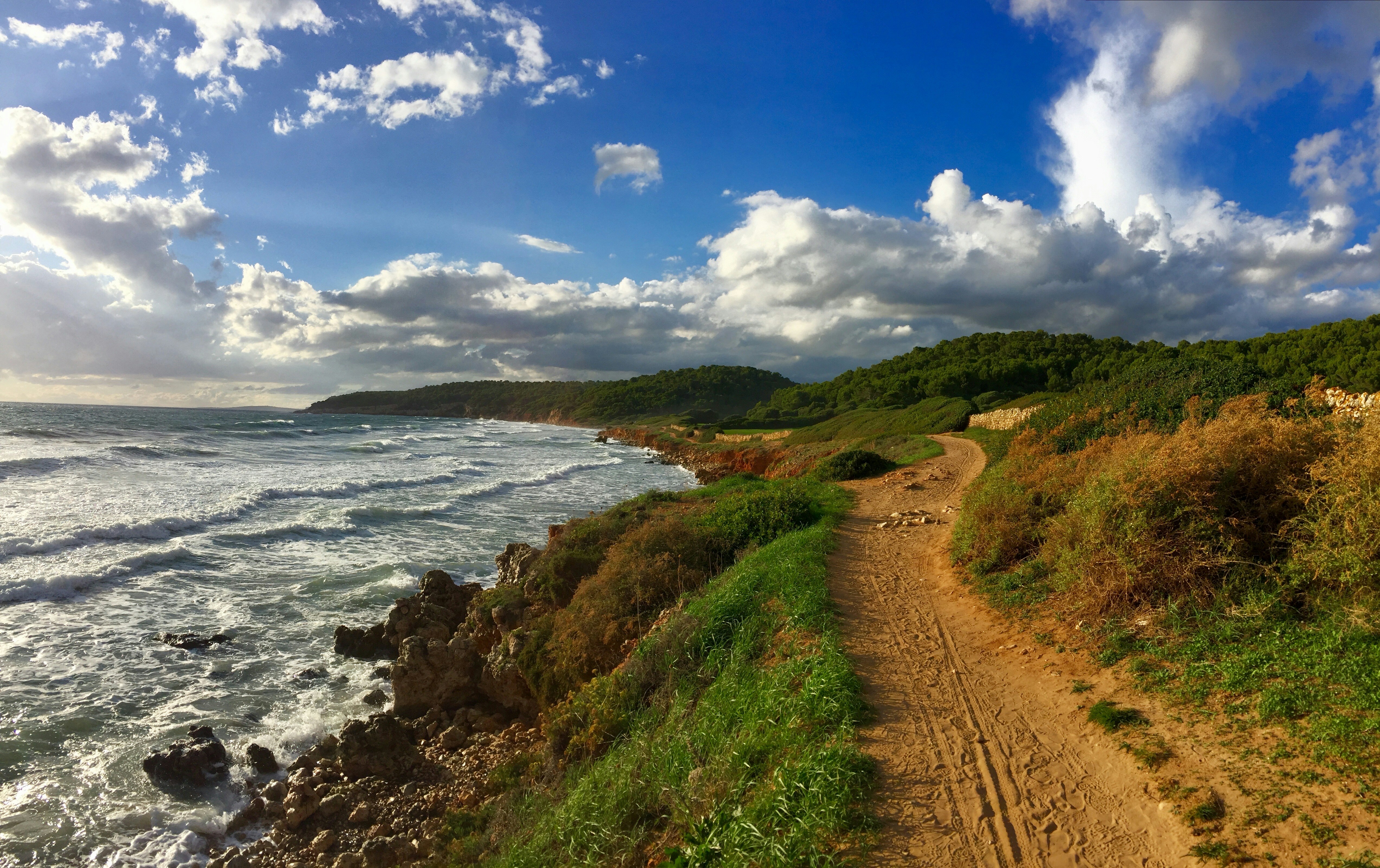 Sunlit Coastal Trail Along Verdant Cliffs by the Sea