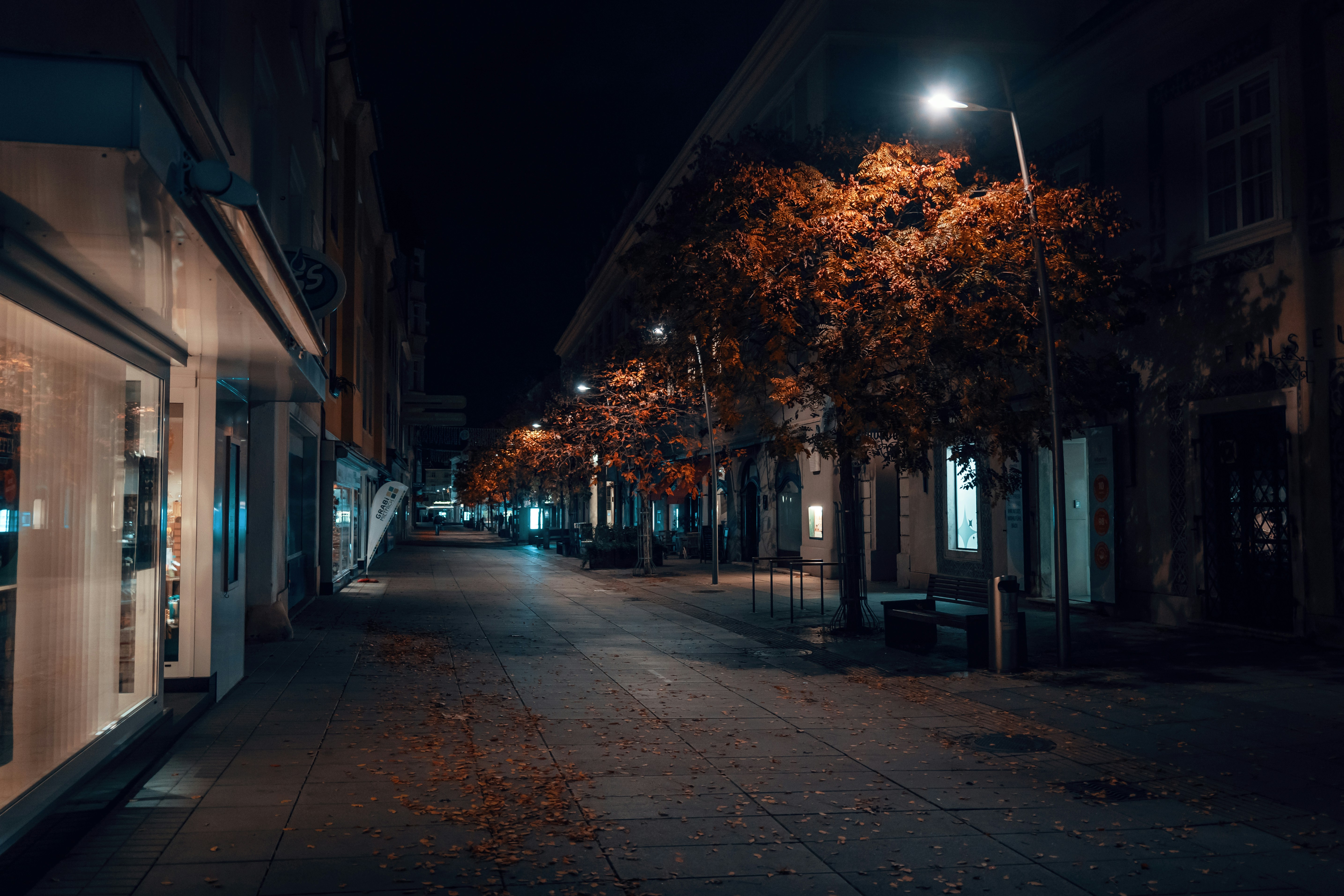 Dimly lit street with glowing autumn trees under streetlights at night.