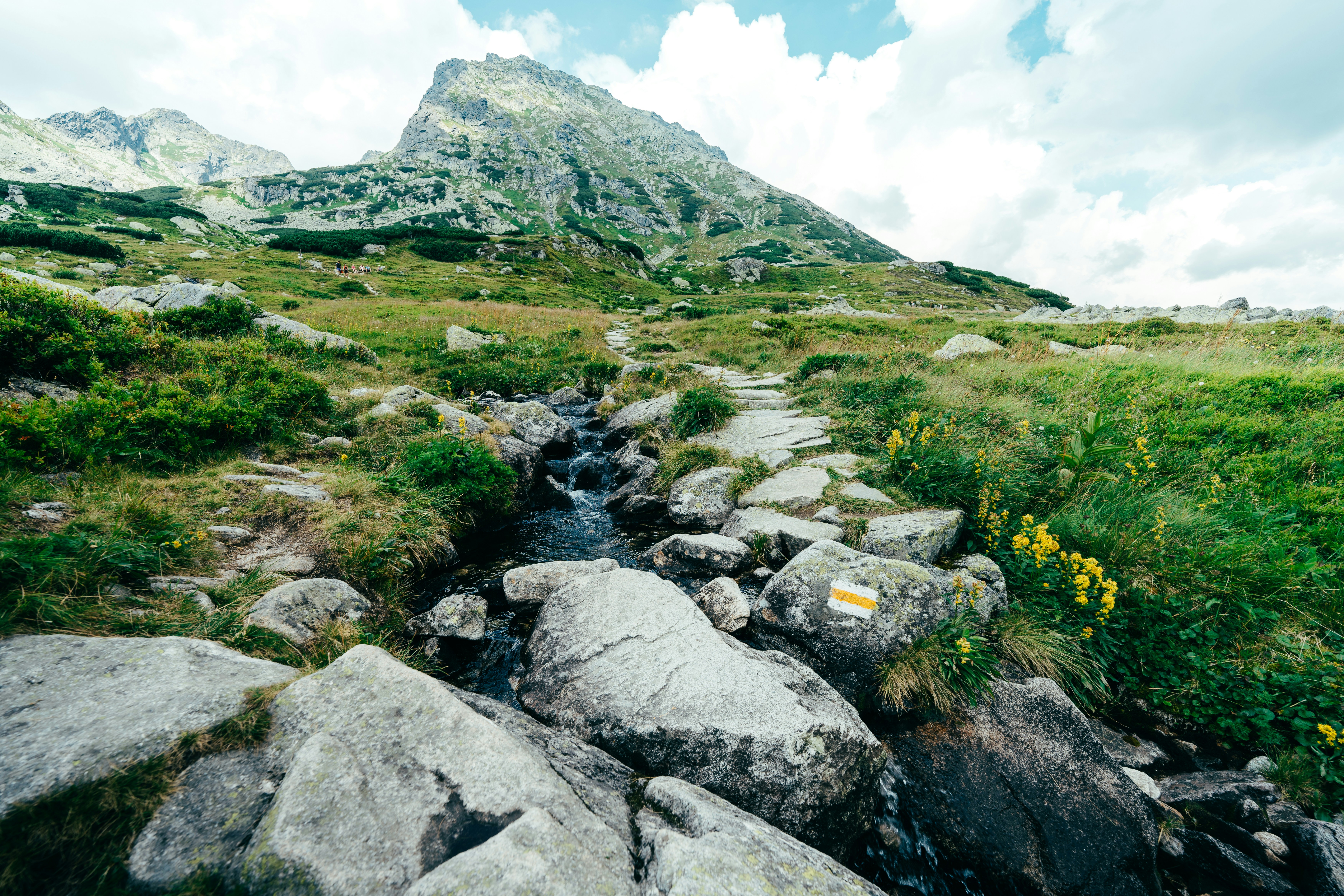 A small stream running through a lush green hillside photo – Free ...