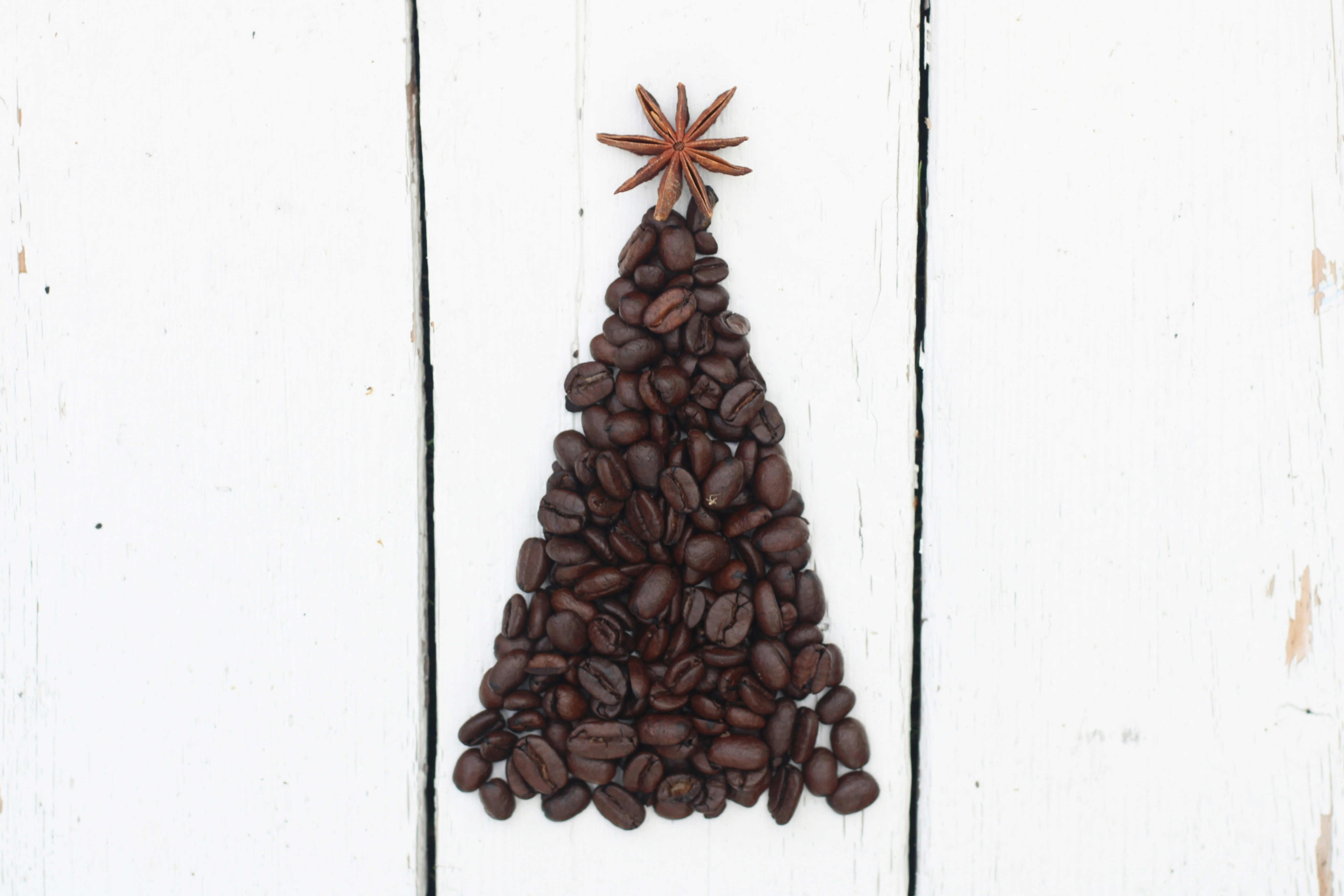 Starry Christmas Tree of Coffee Beans on White Wood