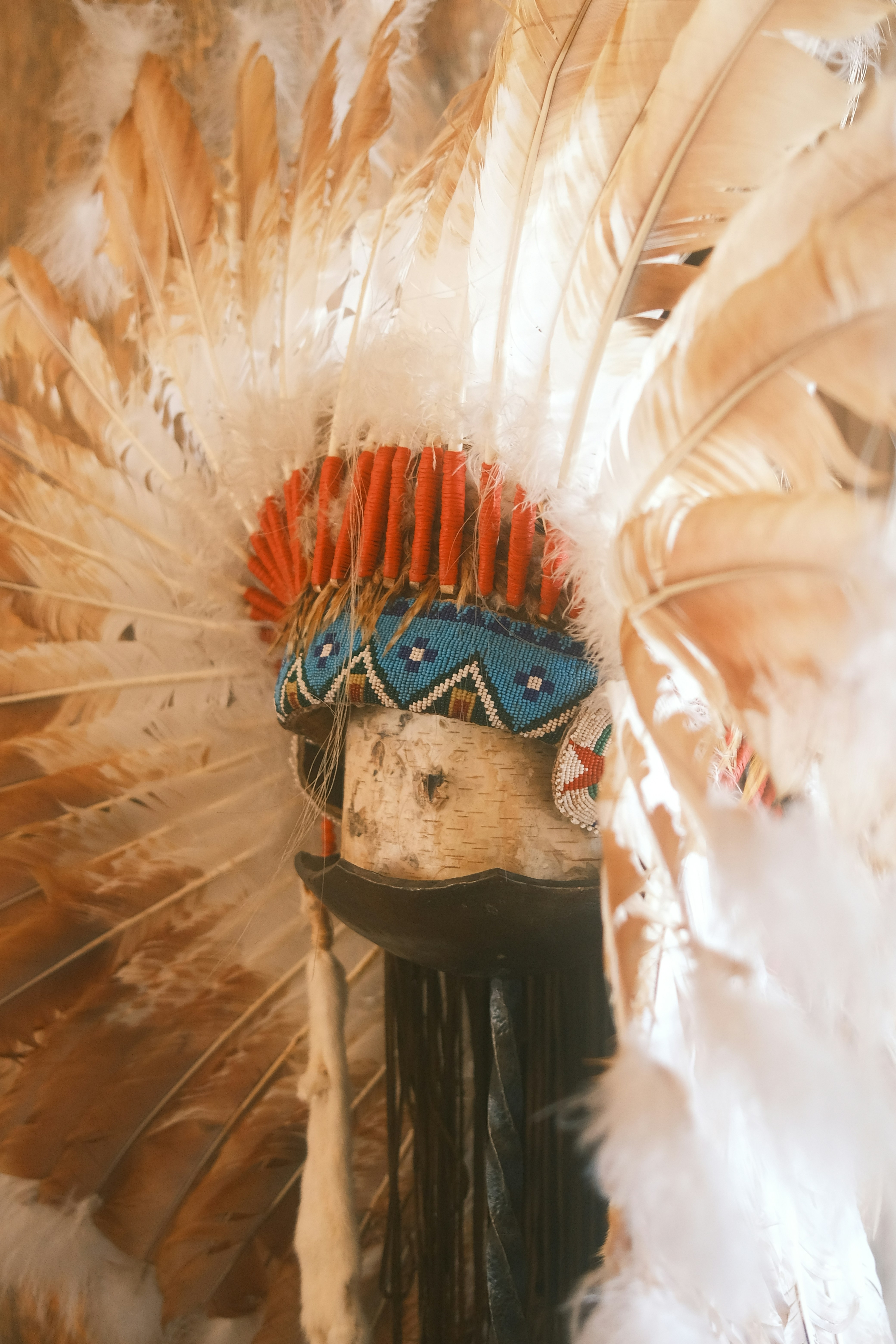 A close up of a headdress on a mannequin photo – Free Carnival Image on ...