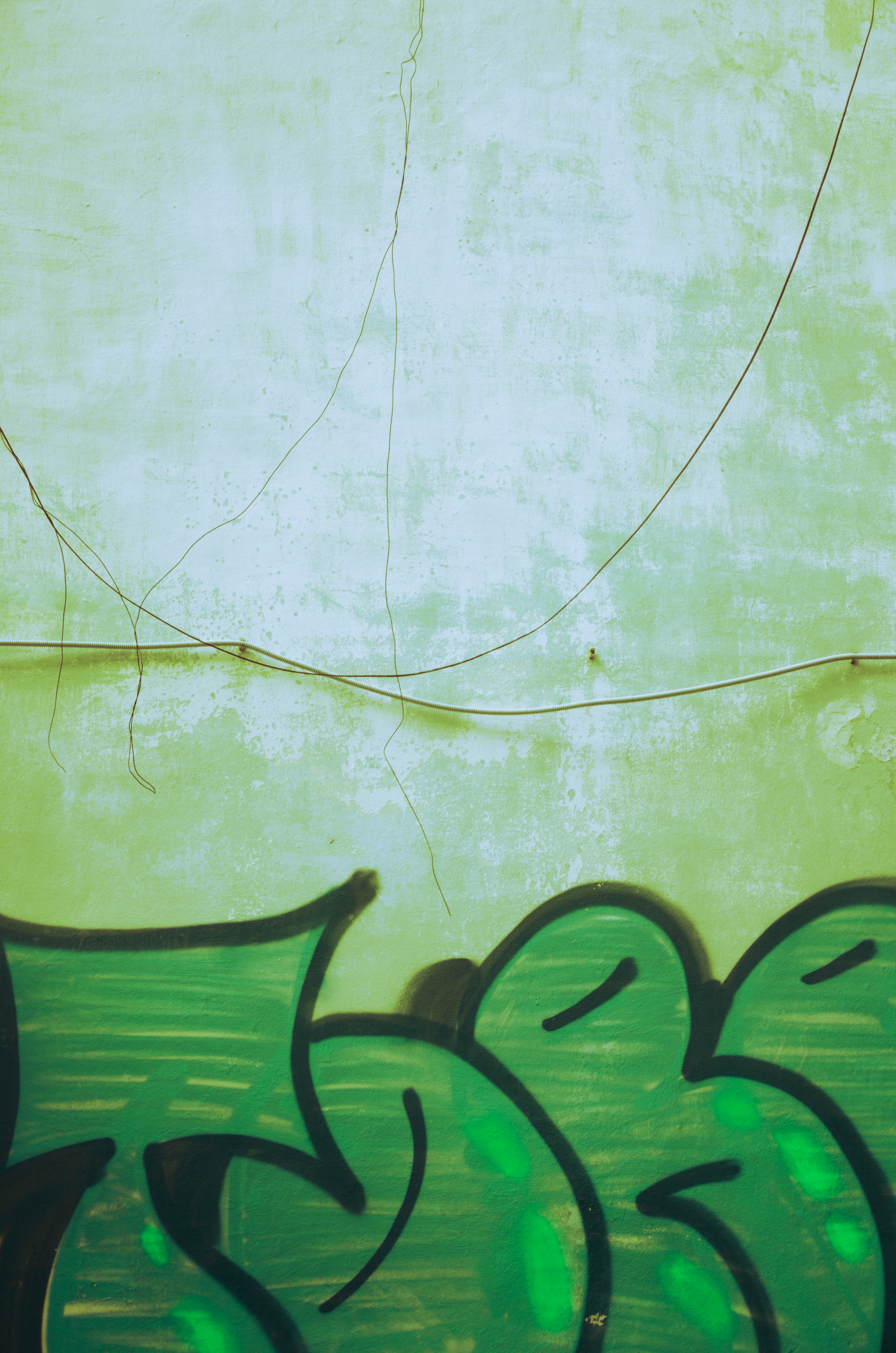 Vibrant green graffiti sprawls across a weathered wall, intertwining with delicate vines that add a natural touch. A blend of urban art and nature's persistence.