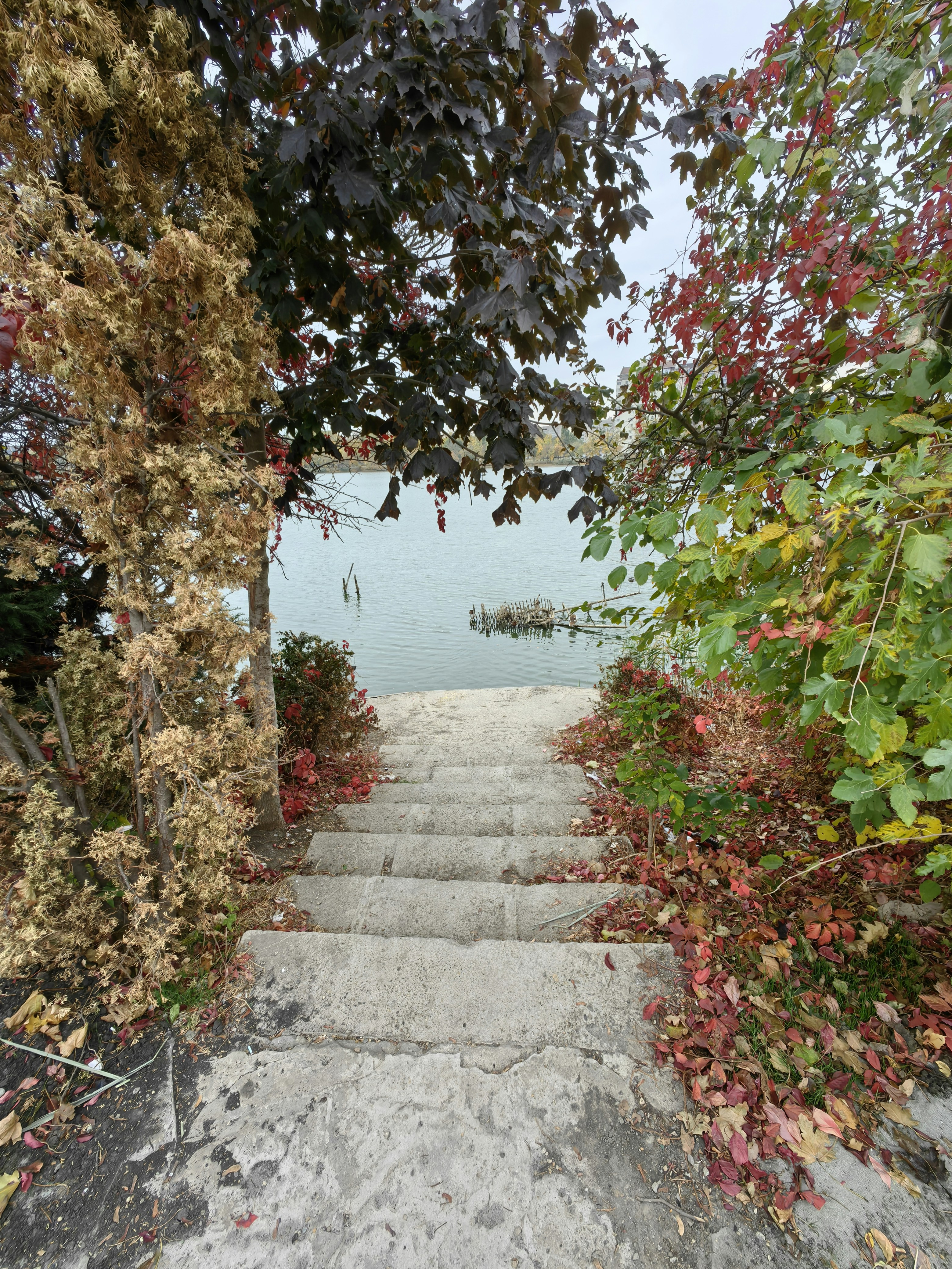 Path to the Waterfront: Autumn Steps Framing a Quiet Shore
